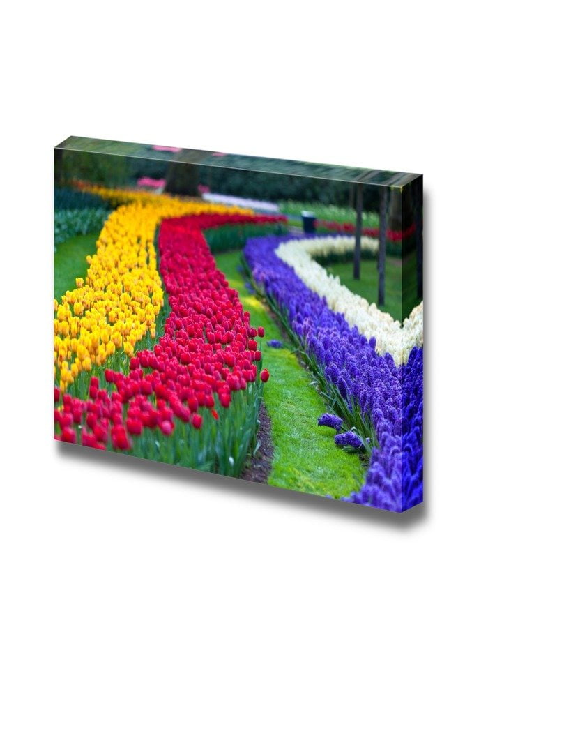 wall26 Bright Flowerbed in Keukenhof Famous Holland Spring Flower Park - Canvas Art Wall Art ...