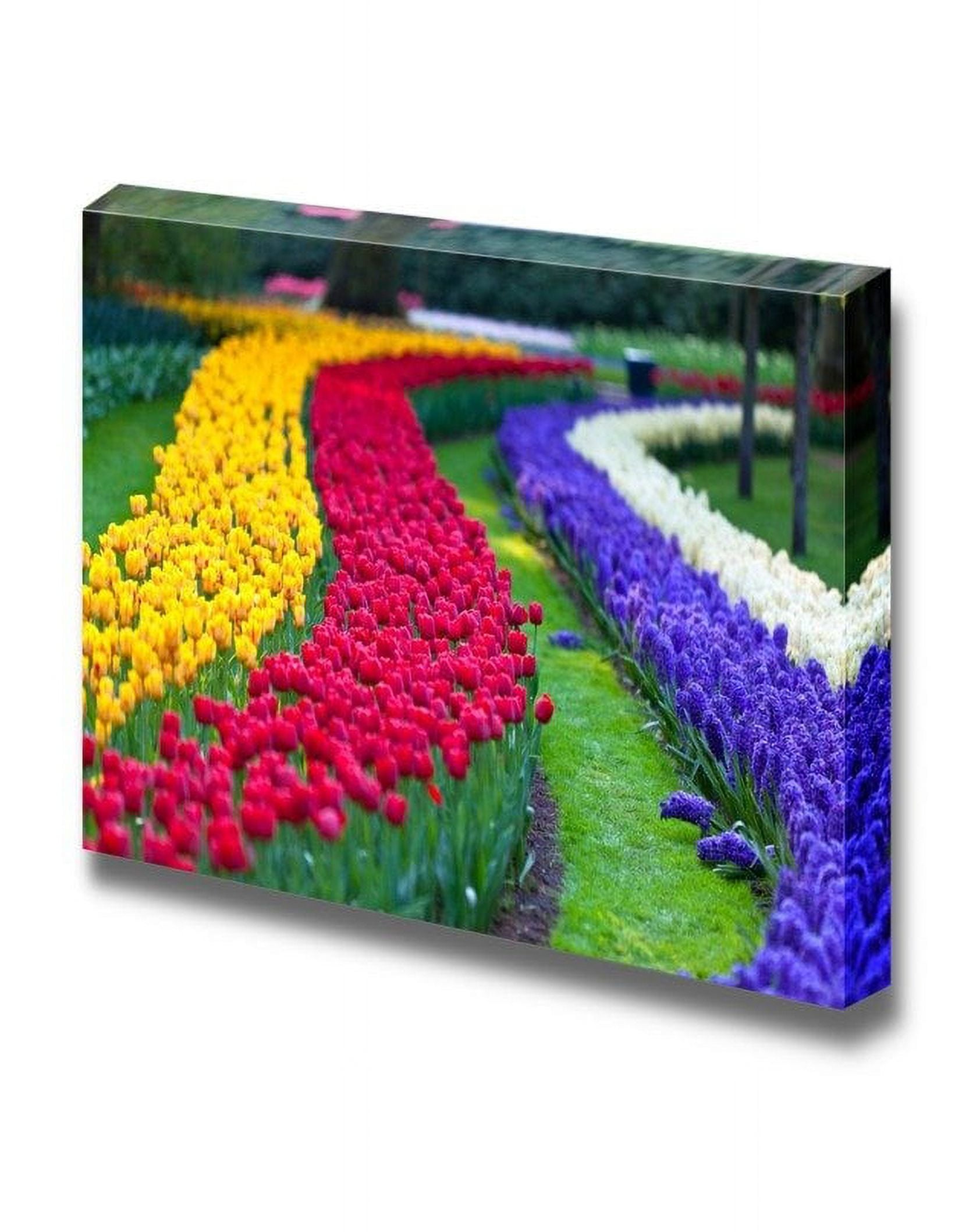 wall26 Bright Flowerbed in Keukenhof Famous Holland Spring Flower Park - Canvas Art Wall Art ...