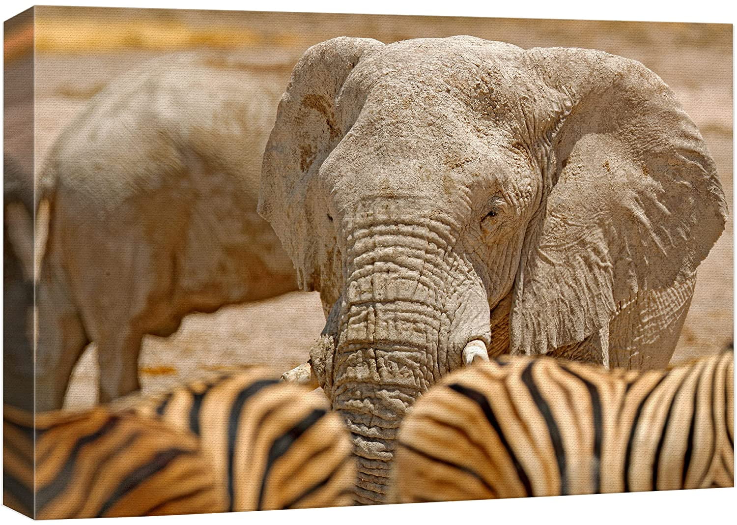 wall26 Canvas Print Wall Art African Safari Elephants & Tiger Stripes ...