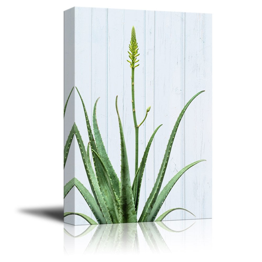 wall26 Canvas Print Wall Art - Aloe on Retro Style Background - Gallery ...