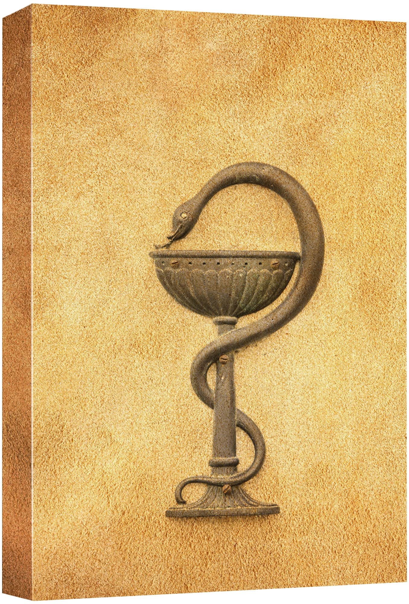 wall26 Canvas Print Wall Art Ancient Symbol of Pharmacy and Medicine ...