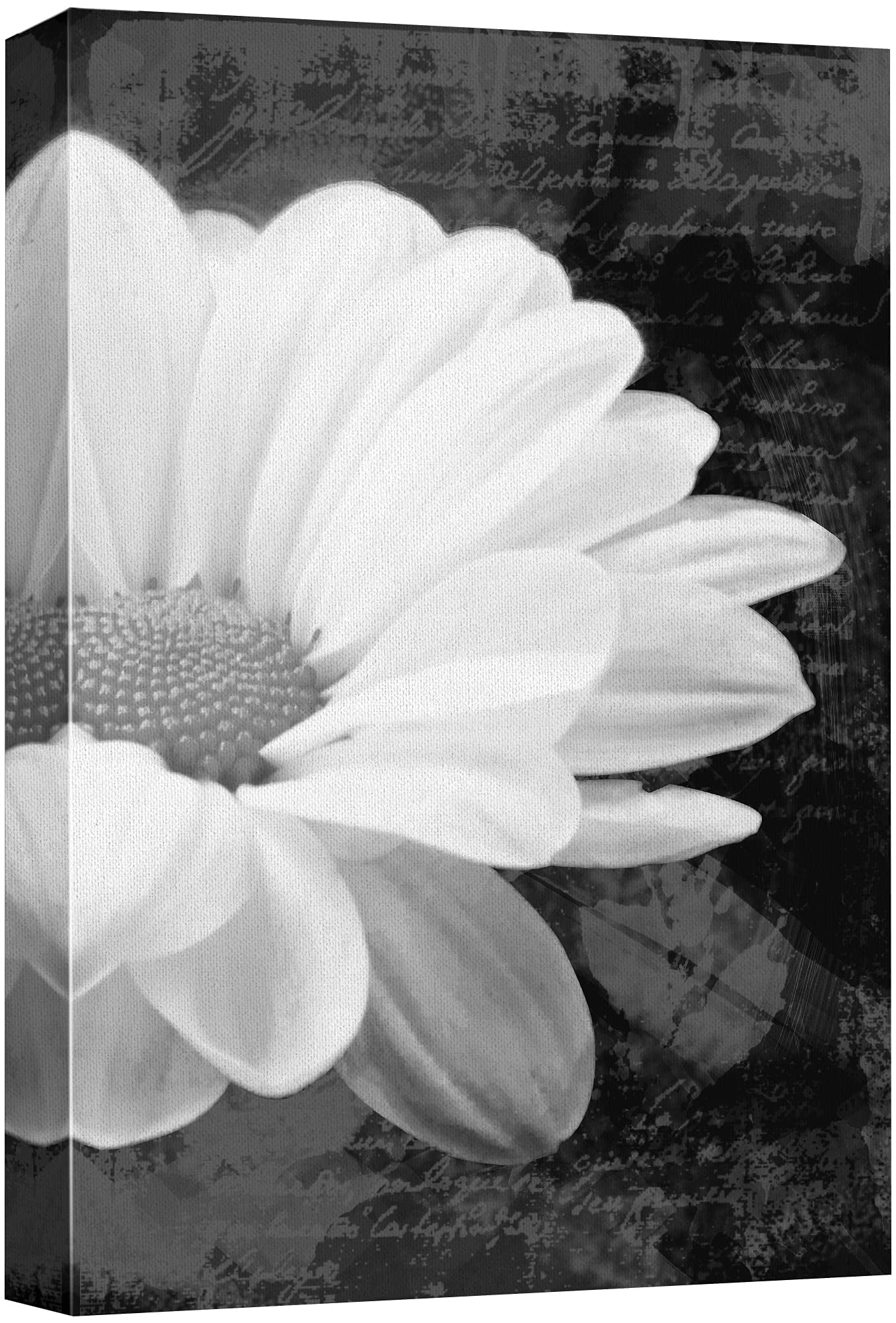 wall26 Canvas Print Wall Art Black & White Daisy & Cursive Typography ...