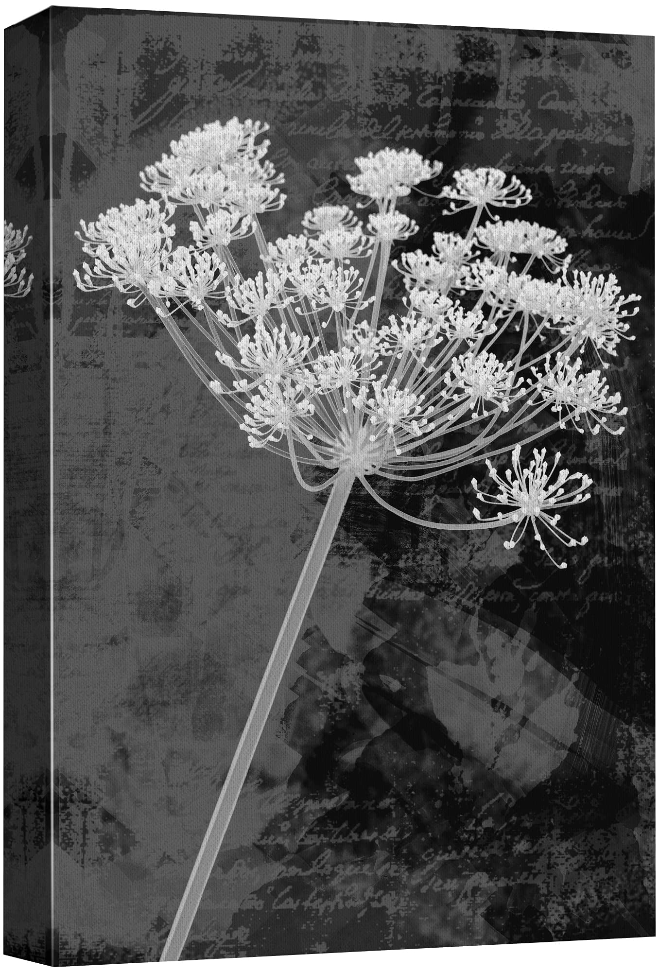 wall26 Canvas Print Wall Art Black & White Flowers & Cursive Typography ...