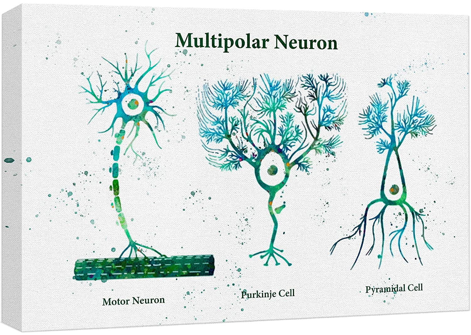 wall26 Canvas Print Wall Art Blue Neuron Pastel Watercolor Flowers ...