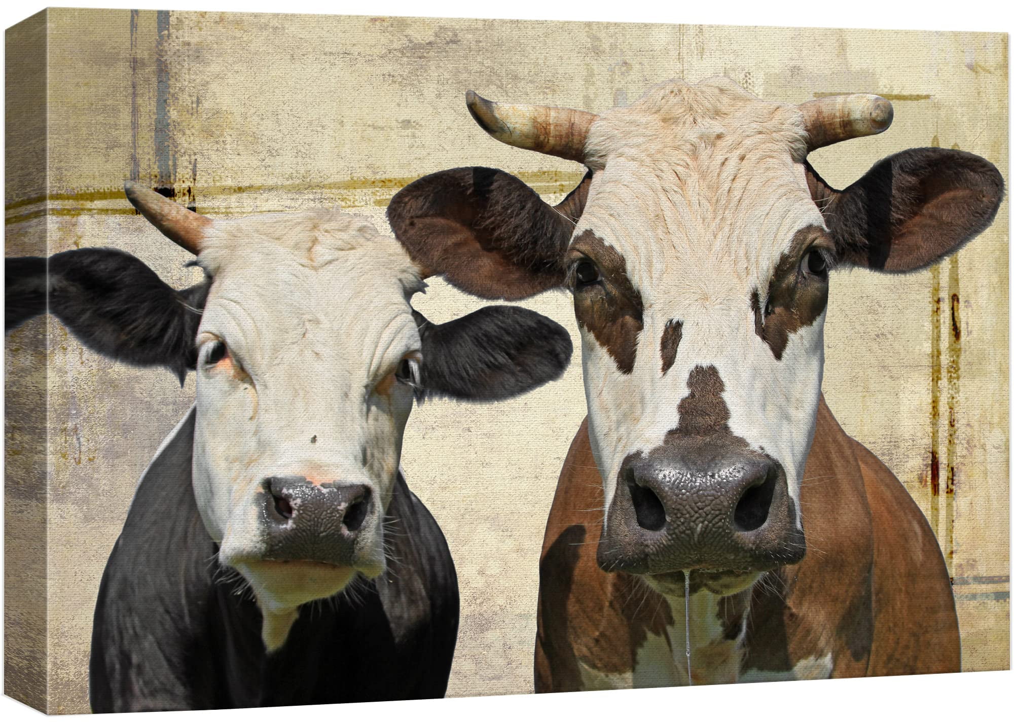 wall26 Canvas Print Wall Art Brown & Black Cow Duo with Grunge ...