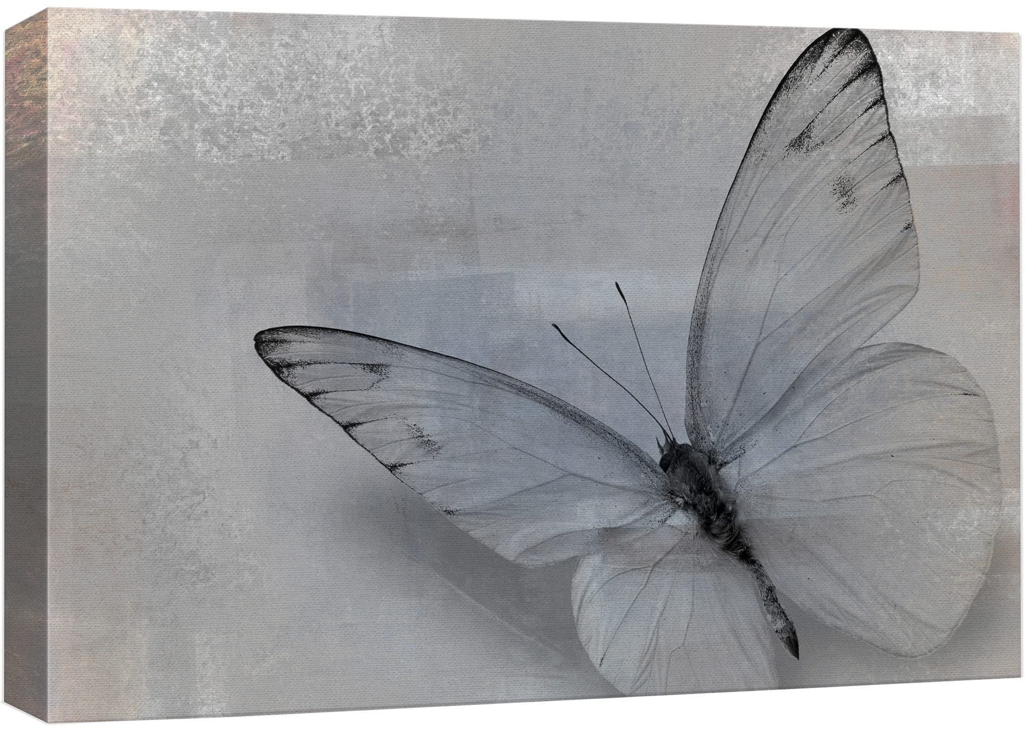 wall26 Canvas Print Wall Art Butterfly on Gray & Blue Faded Color ...
