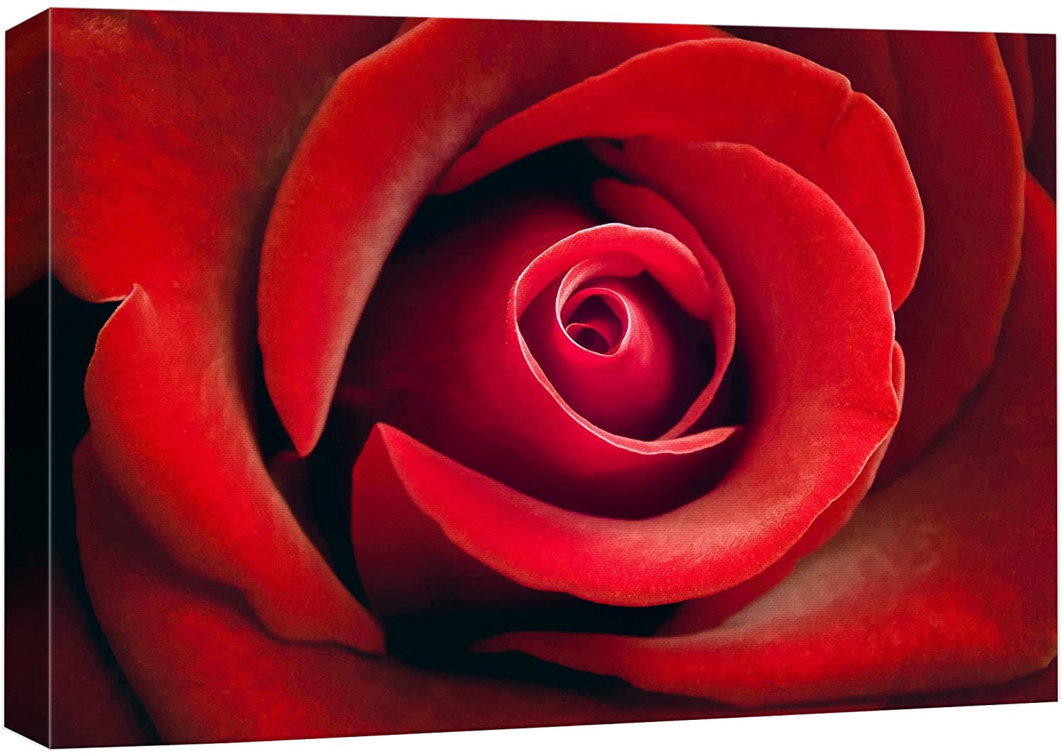 wall26 Canvas Print Wall Art Close Up Detail Red Romantic Rose Flower ...