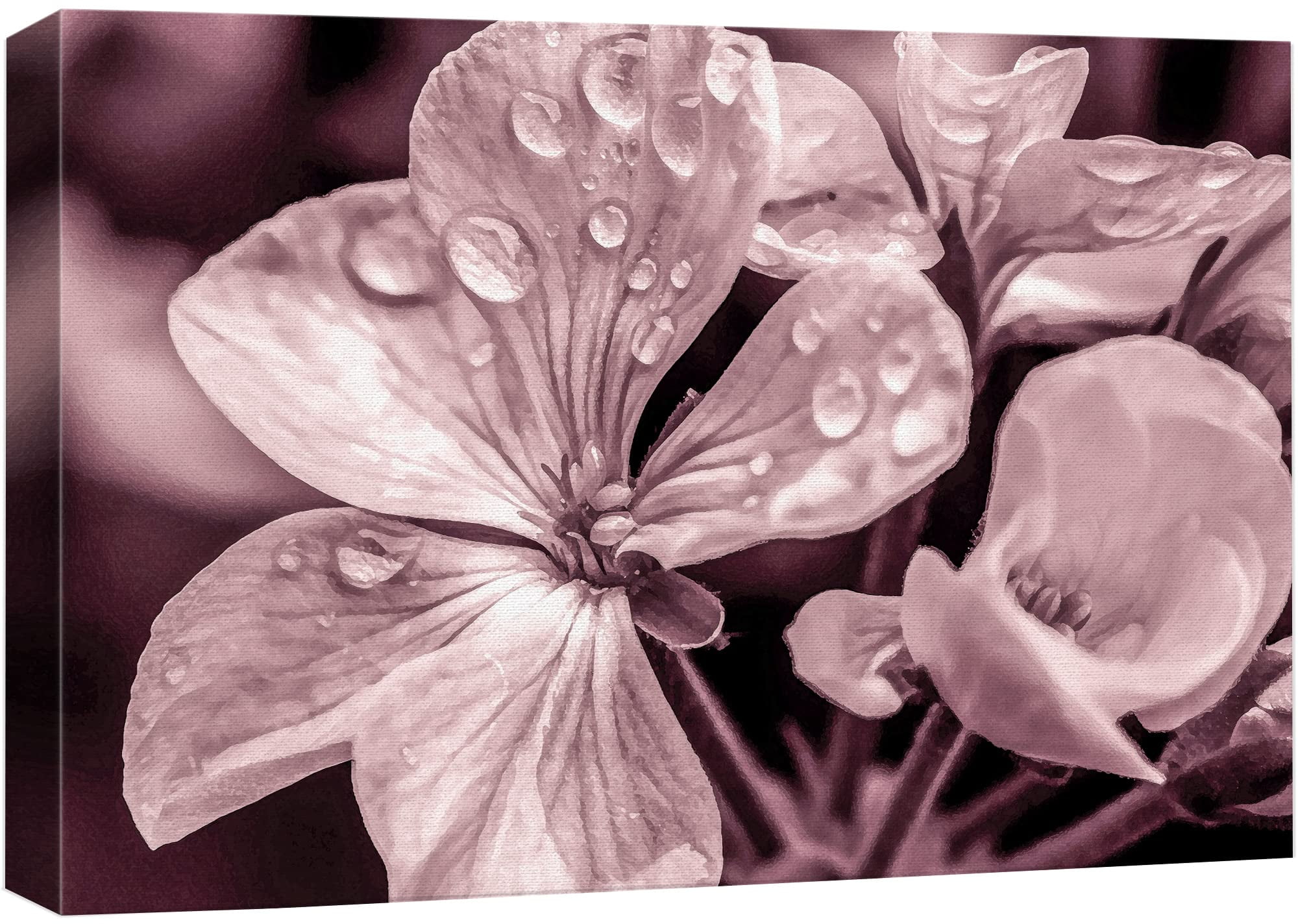 wall26 Canvas Print Wall Art Close Up of Duotone Pink Flowers with Rain ...