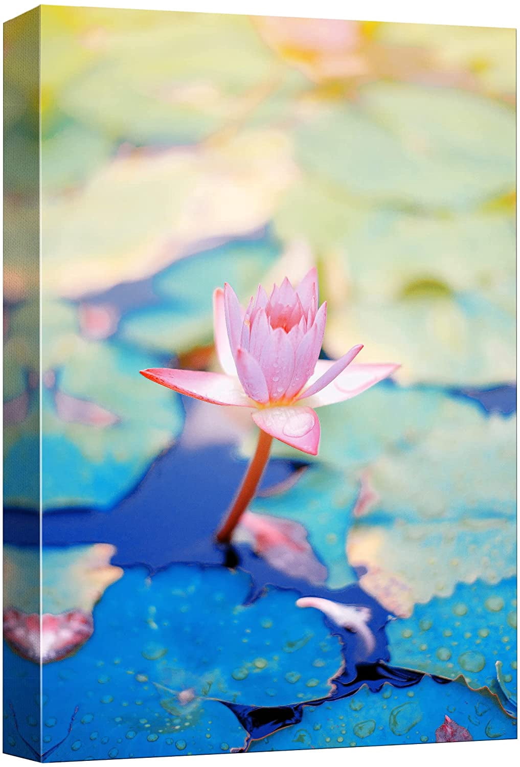 wall26 Canvas Print Wall Art Close Up Vibrant Pink Exotic Water Lily ...