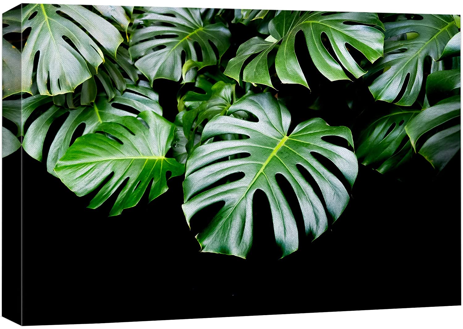 wall26 Canvas Print Wall Art Dark Tropical Island Jungle Monstera Leaf ...