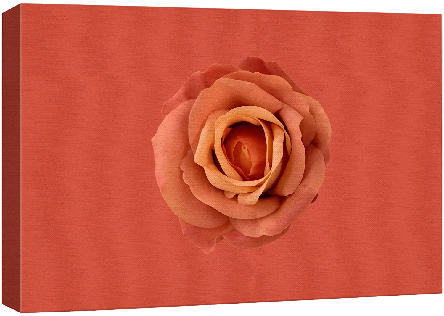 wall26 Canvas Print Wall Art Deep Burnt Orange Rose Flower Close Up ...