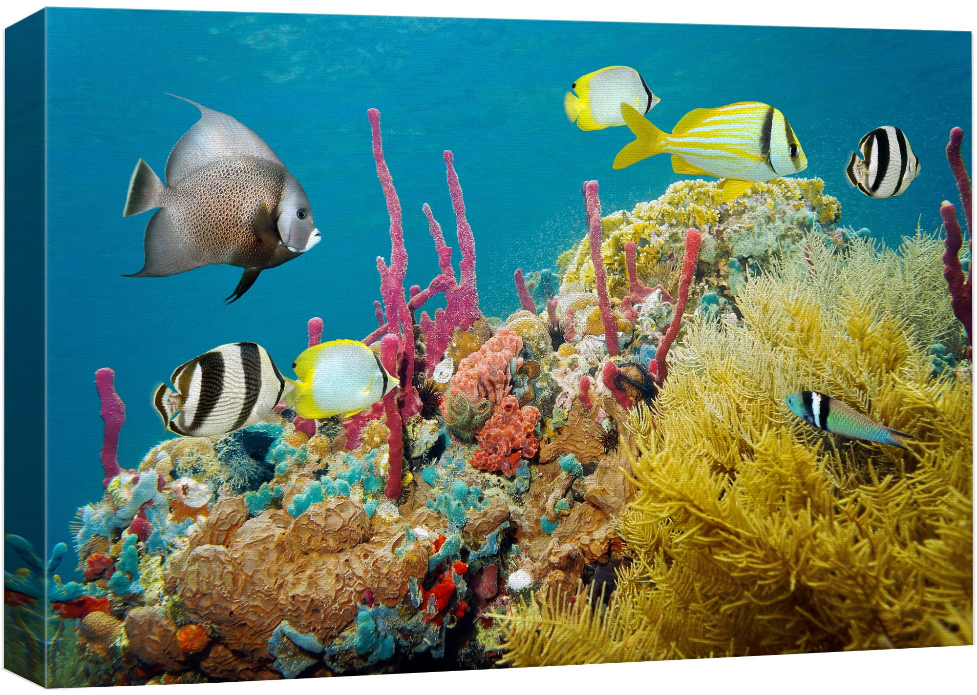 wall26 Canvas Print Wall Art Deep Sea Marine Fish with Coral Reef ...