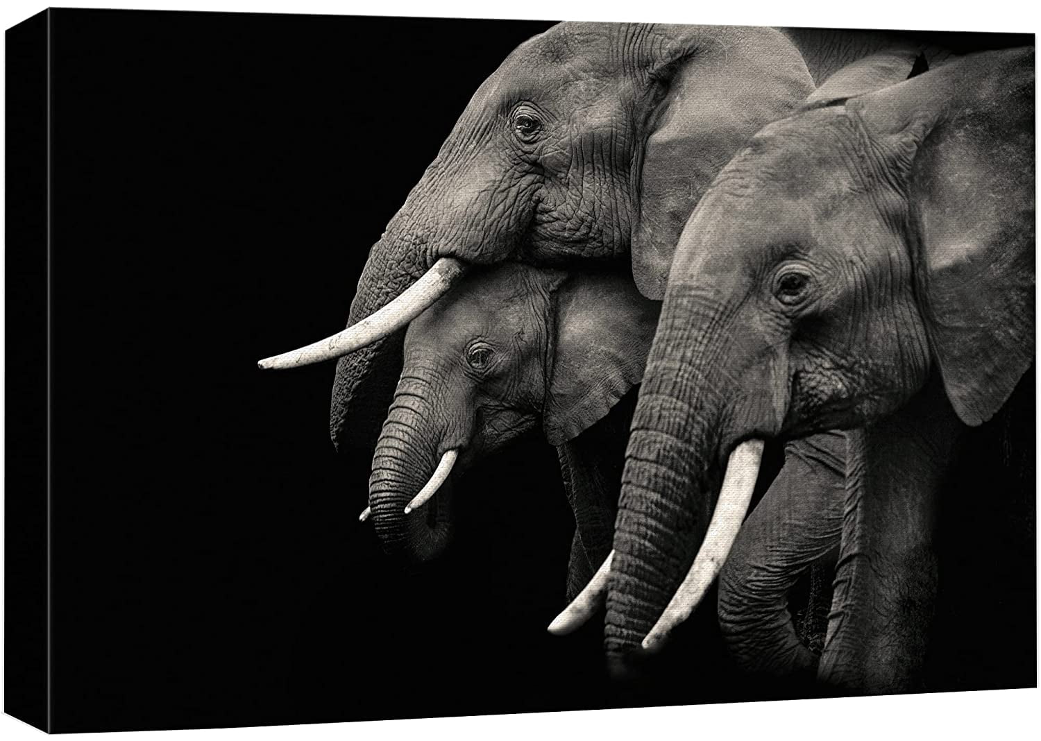 wall26 Canvas Print Wall Art Duotone Dark Elephant Family Trio Portrait ...