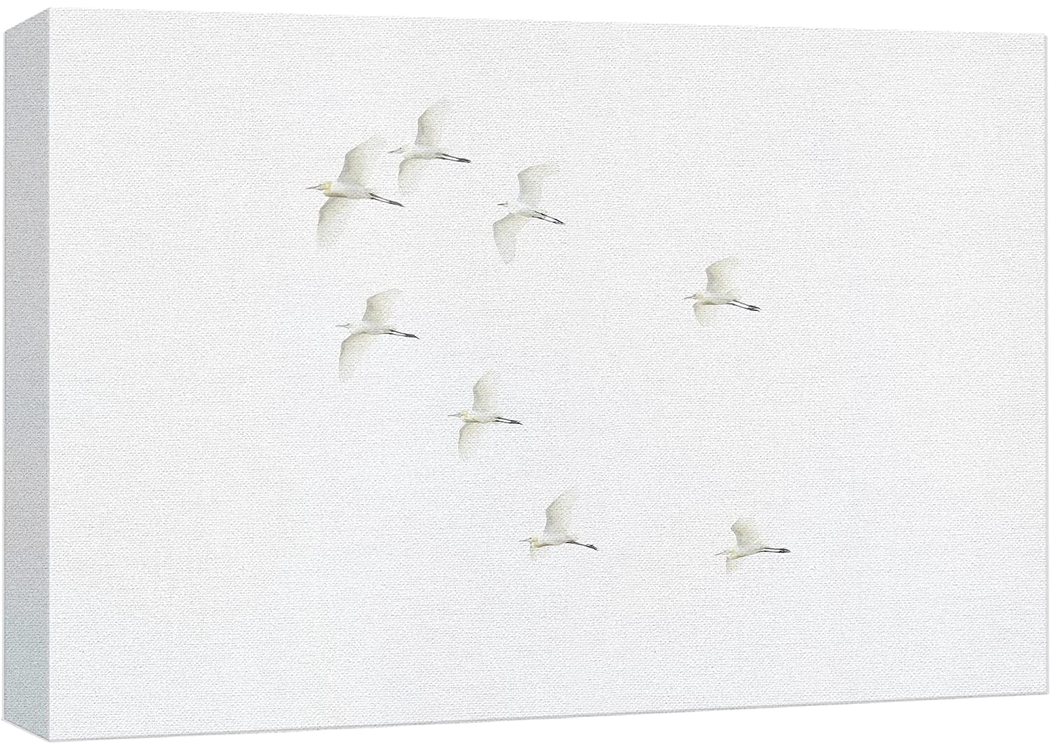wall26 Canvas Print Wall Art Duotone White Gray Birds Flying in Sky ...
