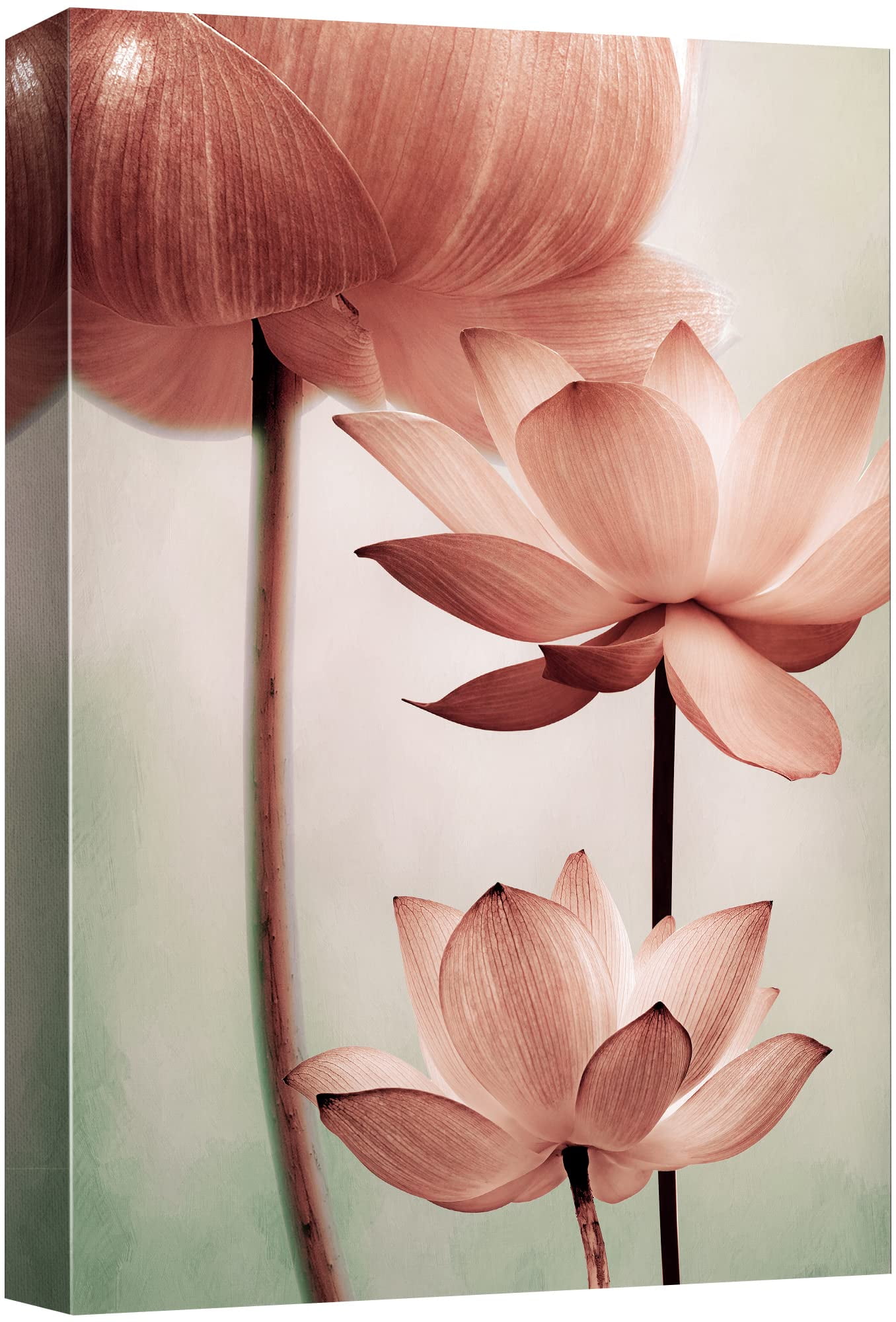wall26 Canvas Print Wall Art Film Grain Effect Pink Lotus Trio Floral ...
