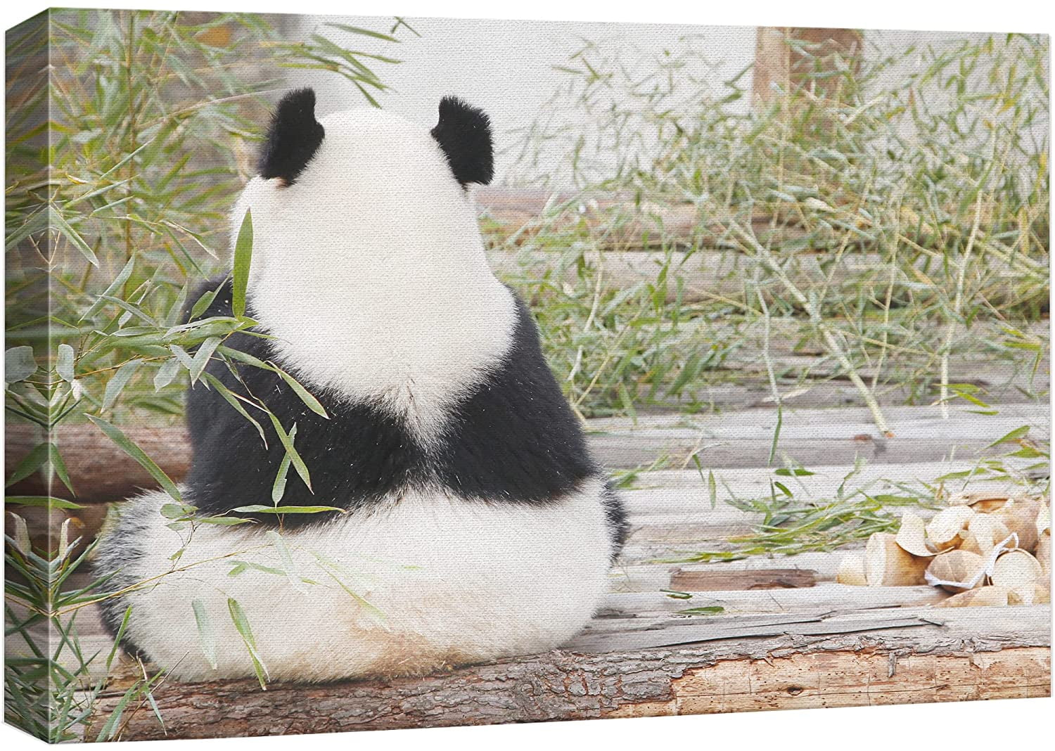 wall26 Canvas Print Wall Art Forest Wetland Safari Panda Bear Portrait ...