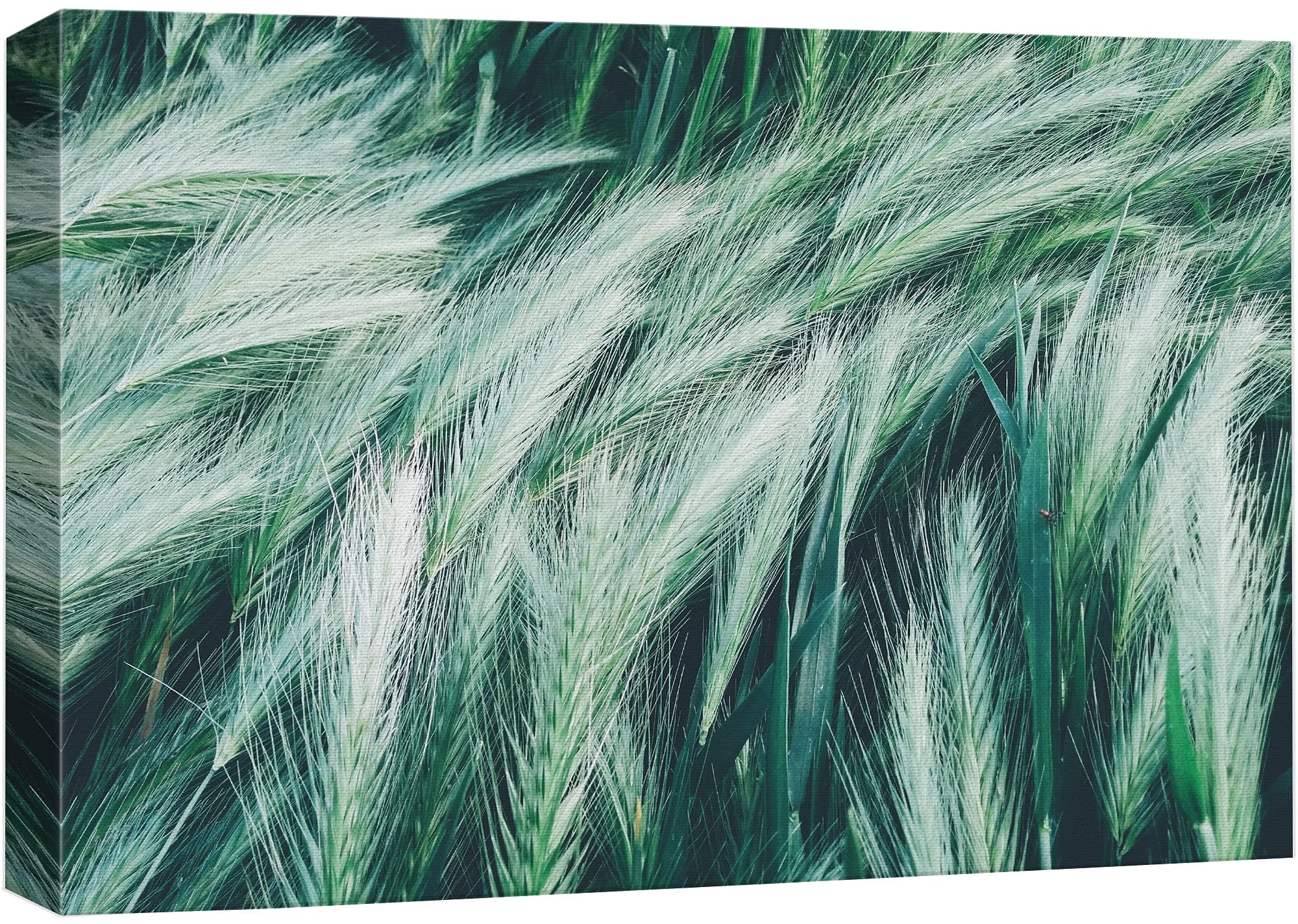 wall26 Canvas Print Wall Art Green Wheat Field Closeup Floral Plants ...