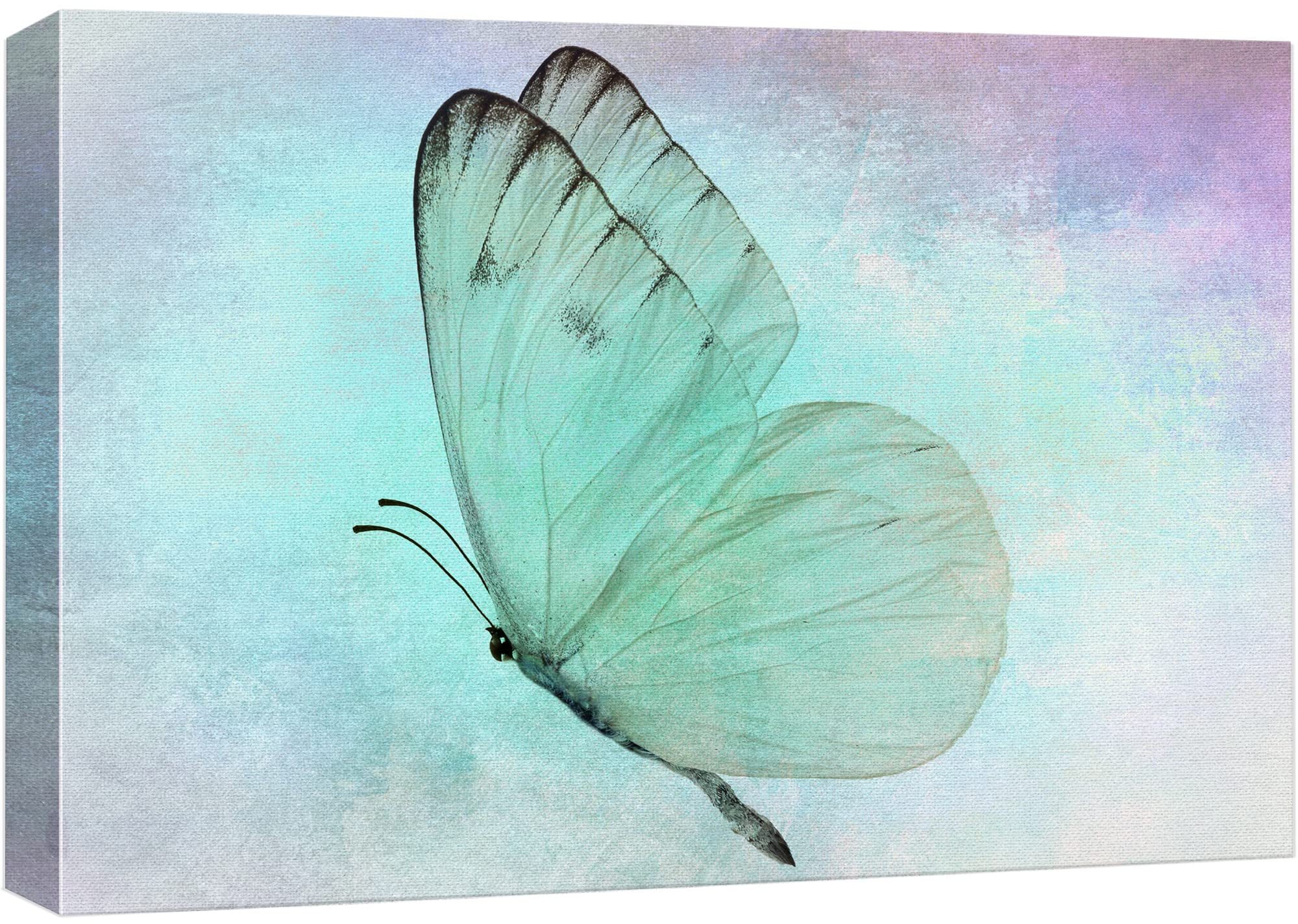 wall26 Canvas Print Wall Art High Contrast Green & Purple Butterfly ...