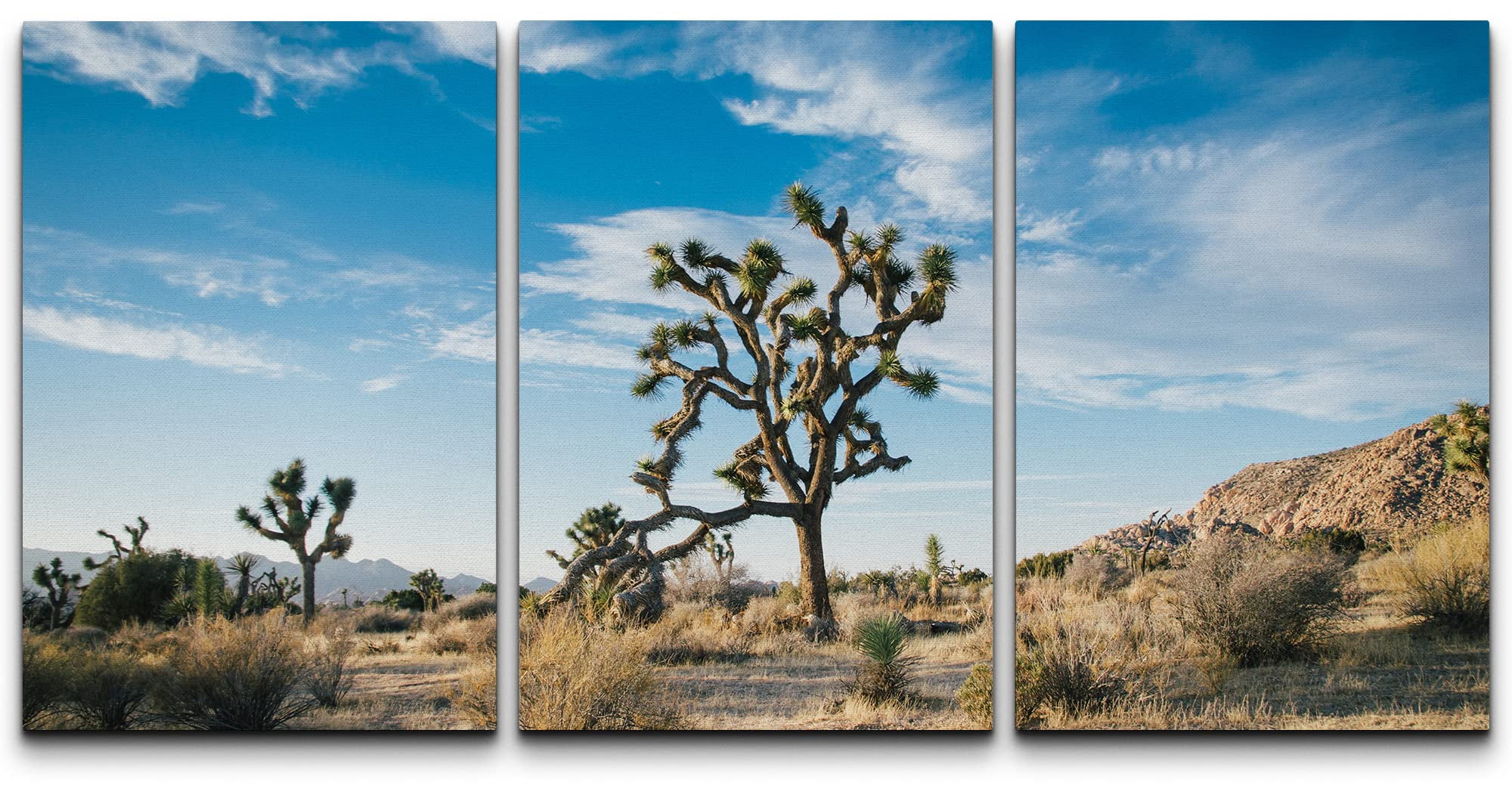 wall26 Canvas Print Wall Art Joshua Tree Desert National Park Landscape ...