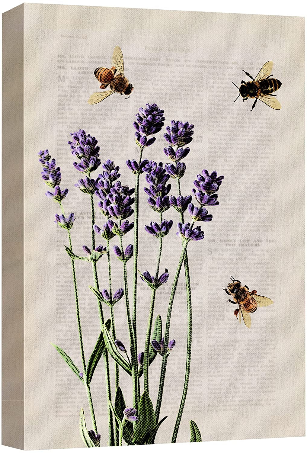 wall26 Canvas Print Wall Art Lavender Flowers with Bees and Newspaper ...