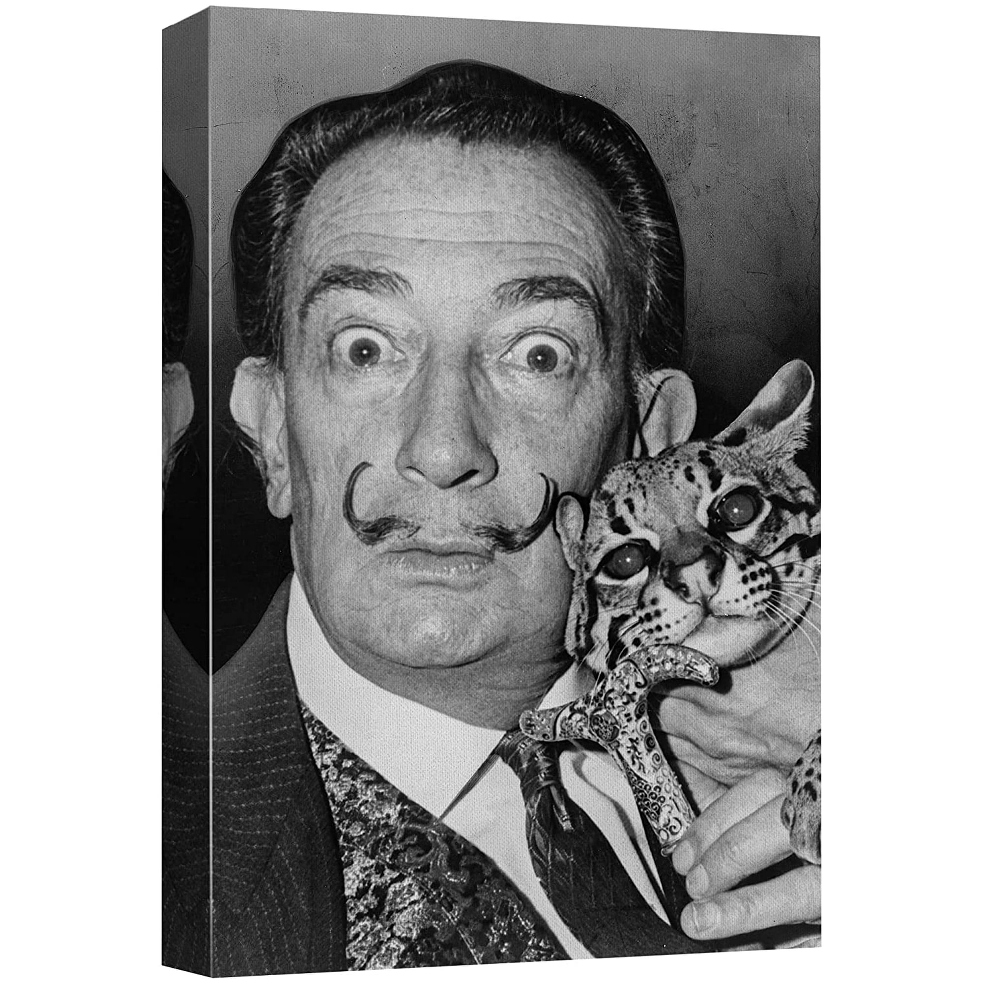 Surrealist Photography Dali