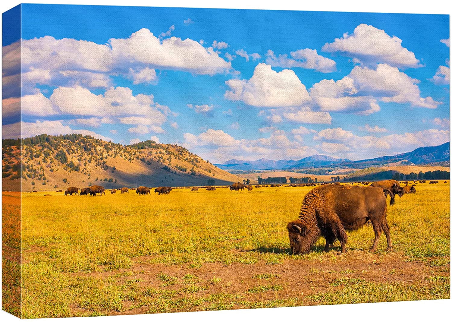 wall26 Canvas Print Wall Art Montana Mountain Cloudy Valley Bison ...