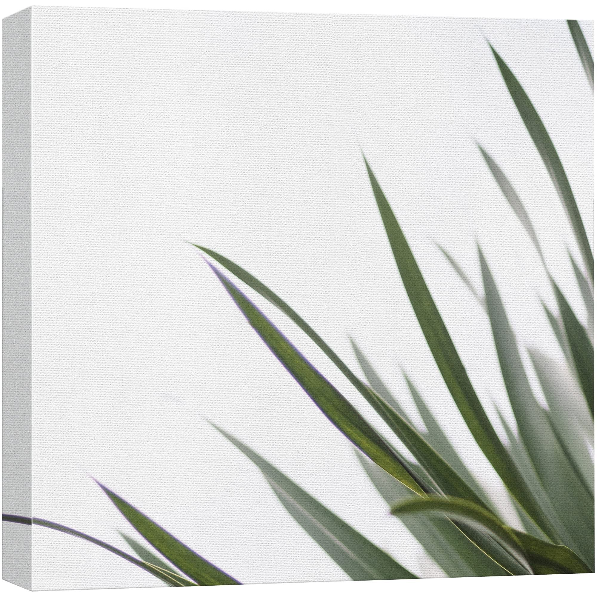 wall26 Canvas Print Wall Art Negative Space Style Green Plant View ...