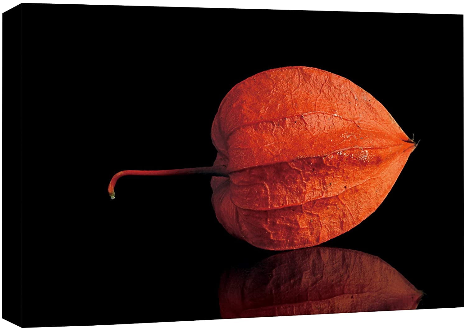 wall26 Canvas Print Wall Art Orange & Red Chinese Lantern Plant Floral ...