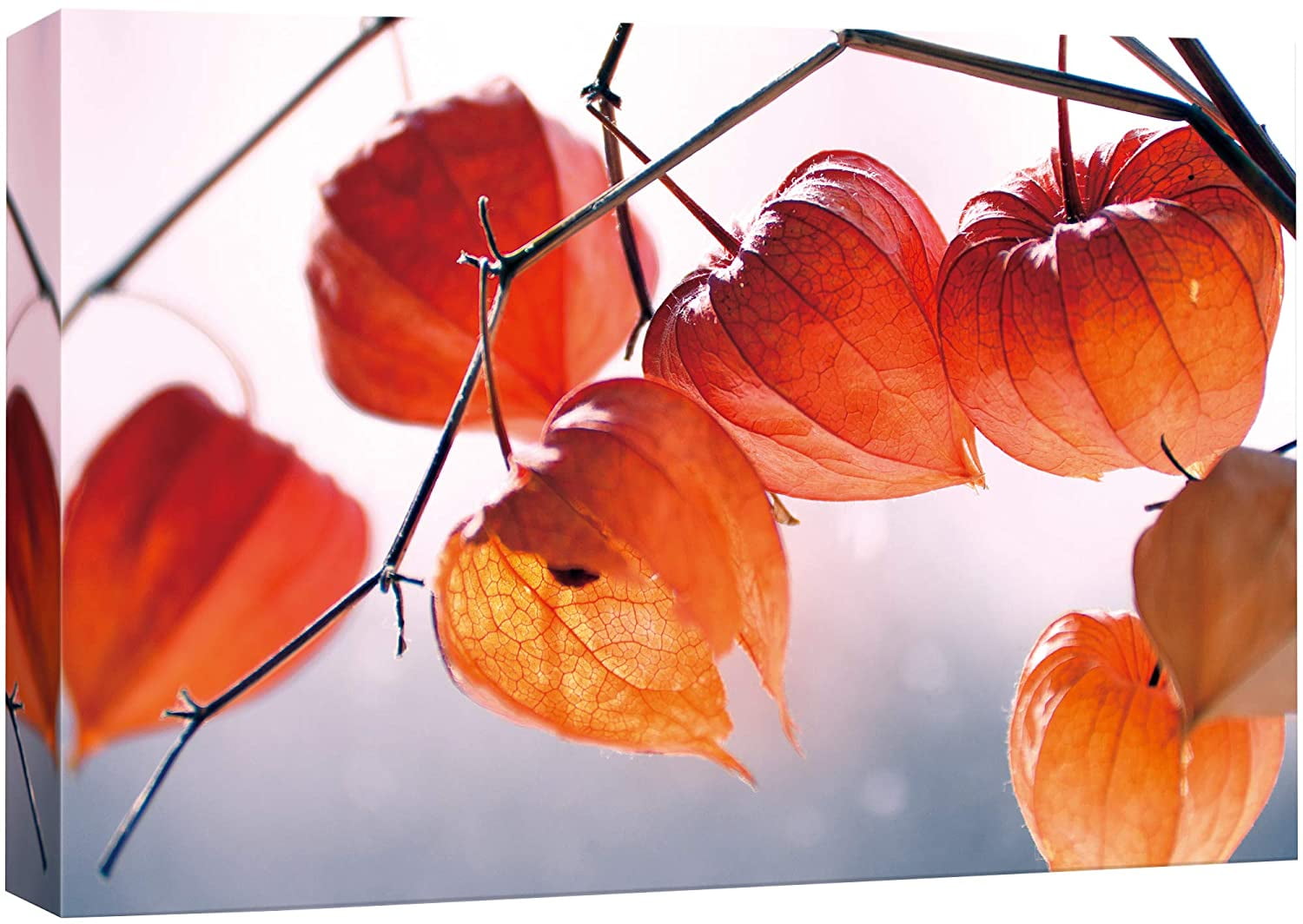wall26 Canvas Print Wall Art Orange & Red Chinese Lanterns on Branches ...