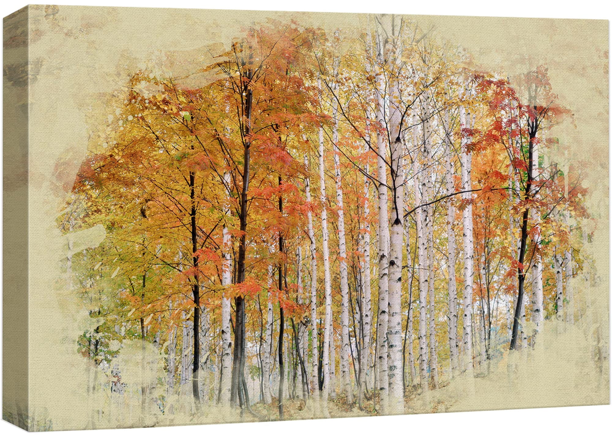 wall26 Canvas Print Wall Art Paint Splatter View of Autumn Birch Trees ...