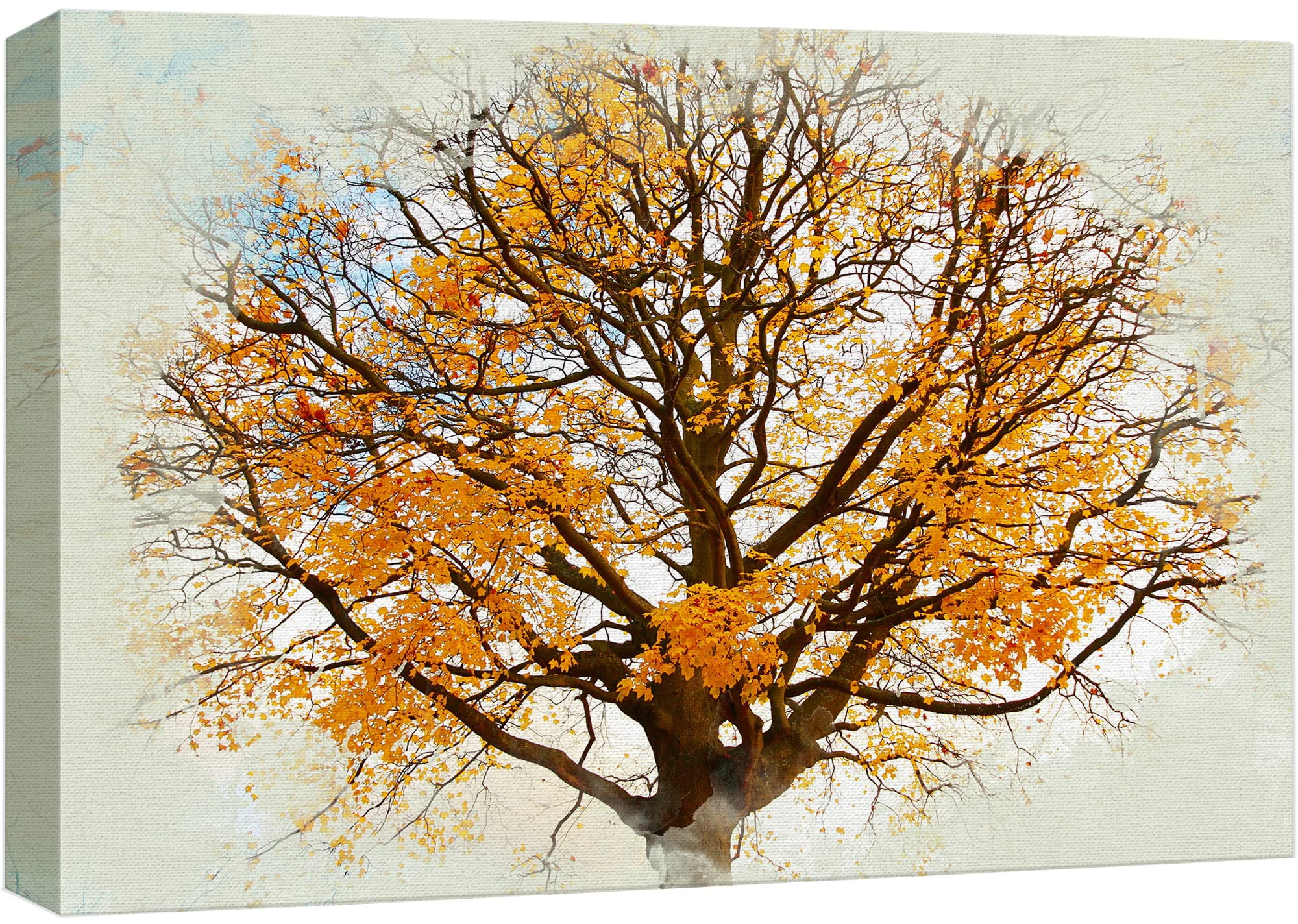 wall26 Canvas Print Wall Art Paint Splatter View of Fall Maple Tree ...