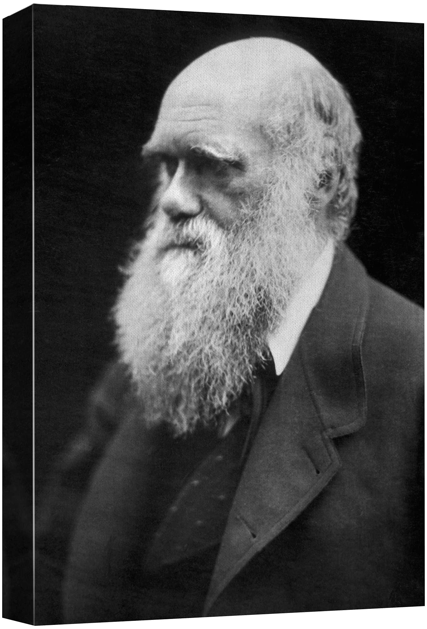 wall26 Canvas Print Wall Art Portrait of Charles Darwin People Pop ...