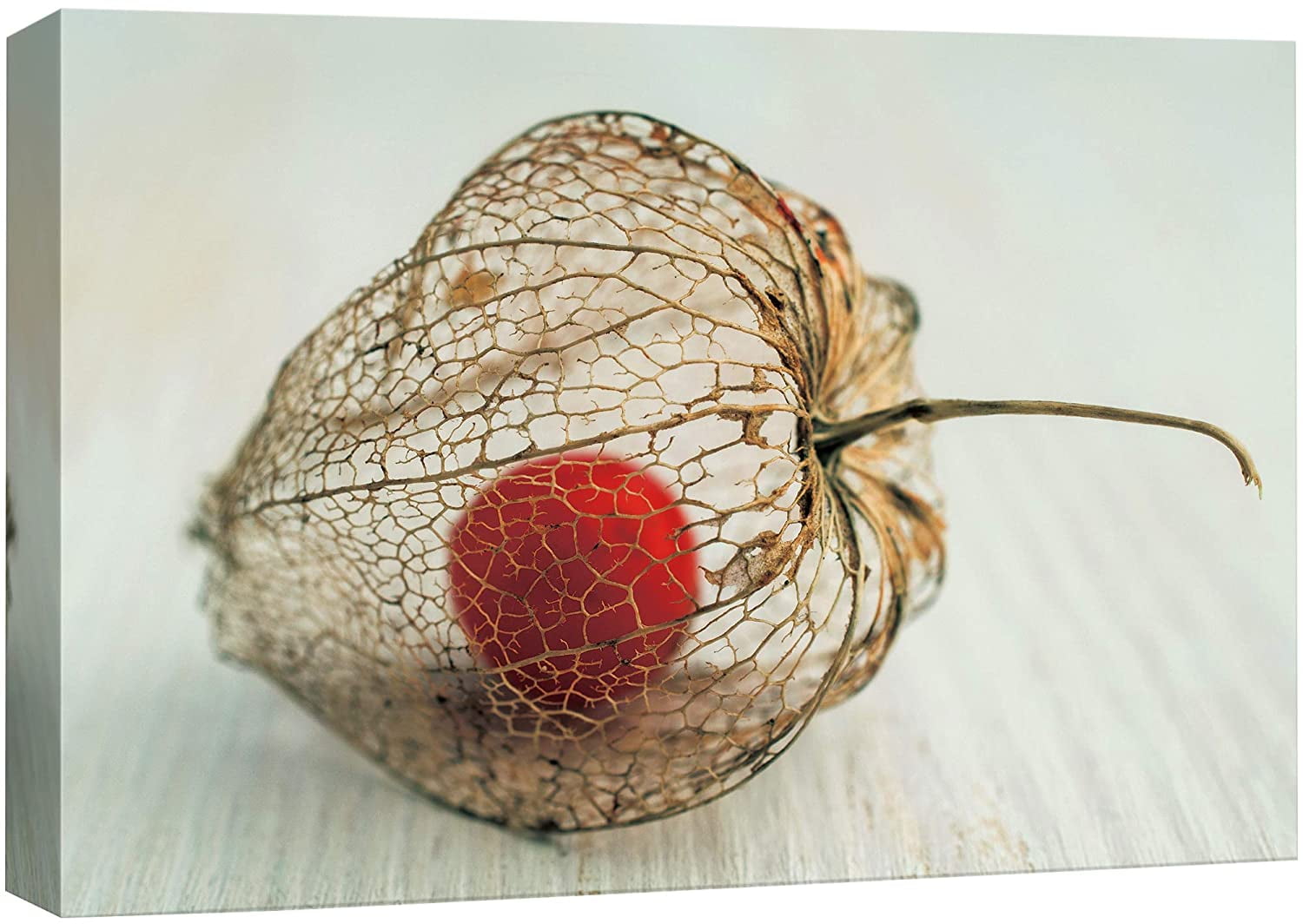 wall26 Canvas Print Wall Art Red & Orange Chinese Lantern in Seed Pod ...