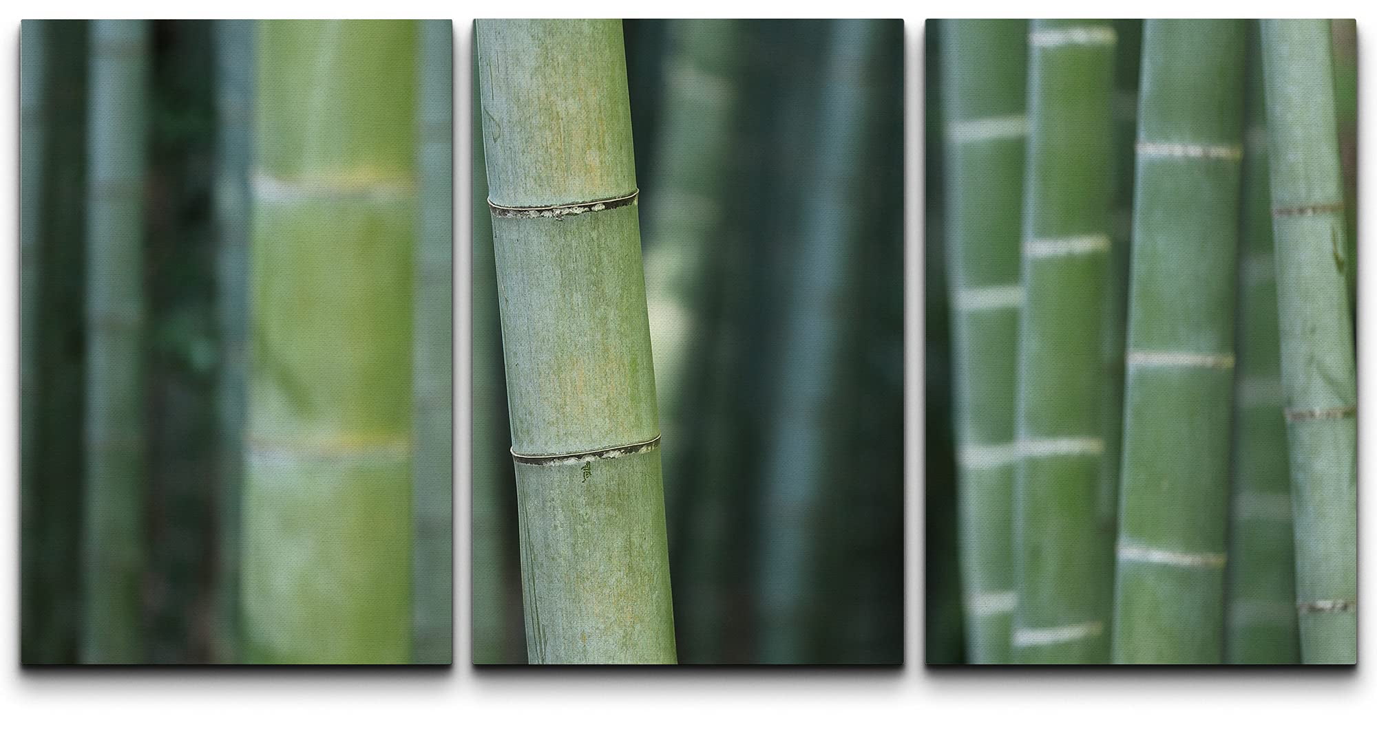 wall26 Canvas Print Wall Art Set Asian Bamboo Plant Closeups Nature ...