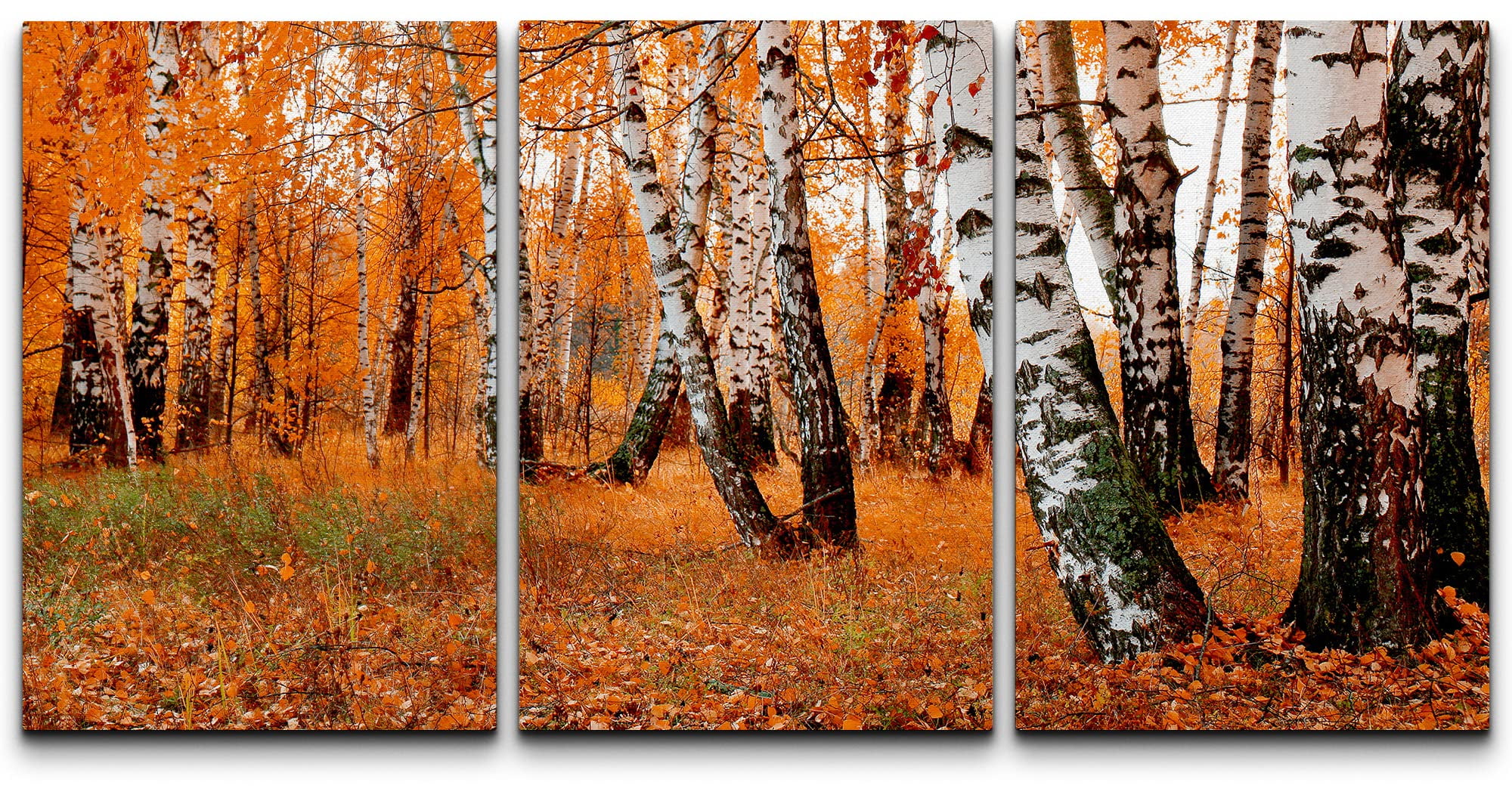 wall26 Canvas Print Wall Art Set Autumn Orange Leaves in Birch Tree ...