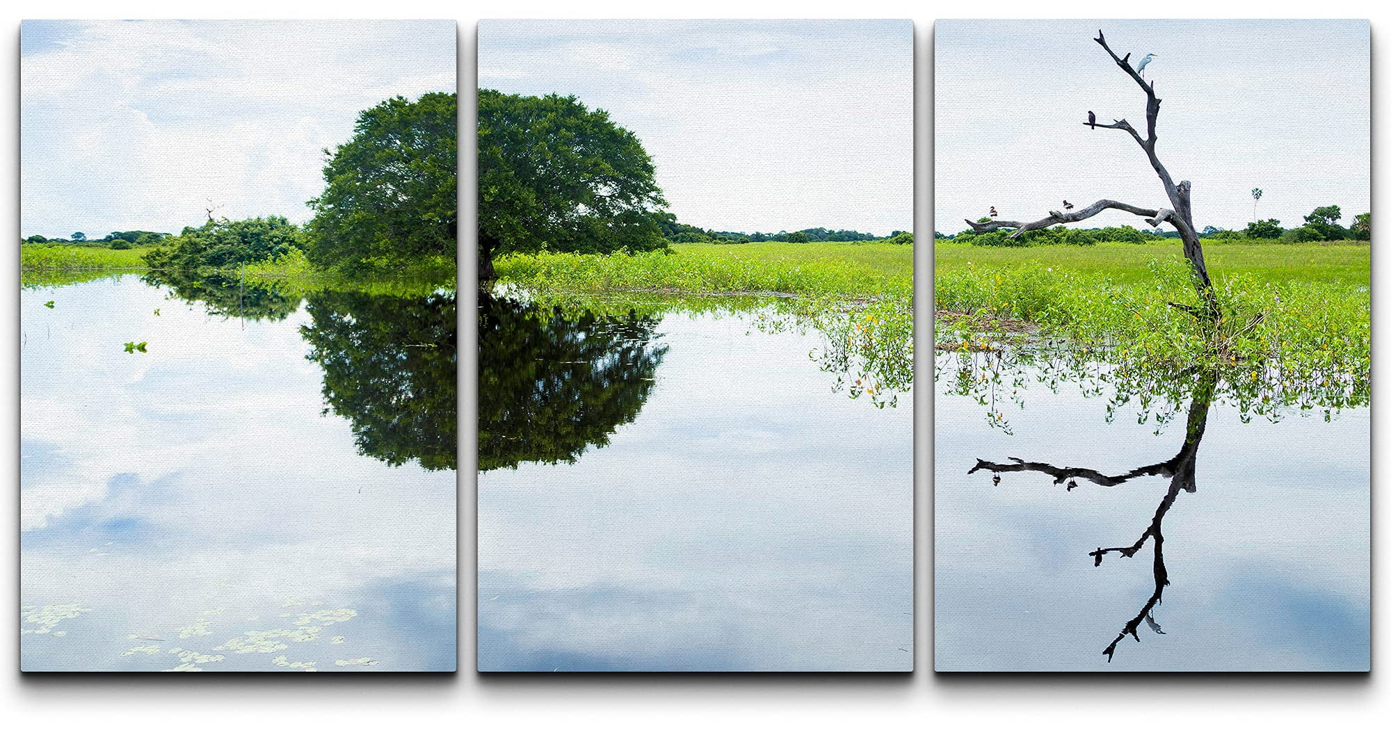 wall26 Canvas Print Wall Art Set Brazilian Wetland Amazon Jungle ...