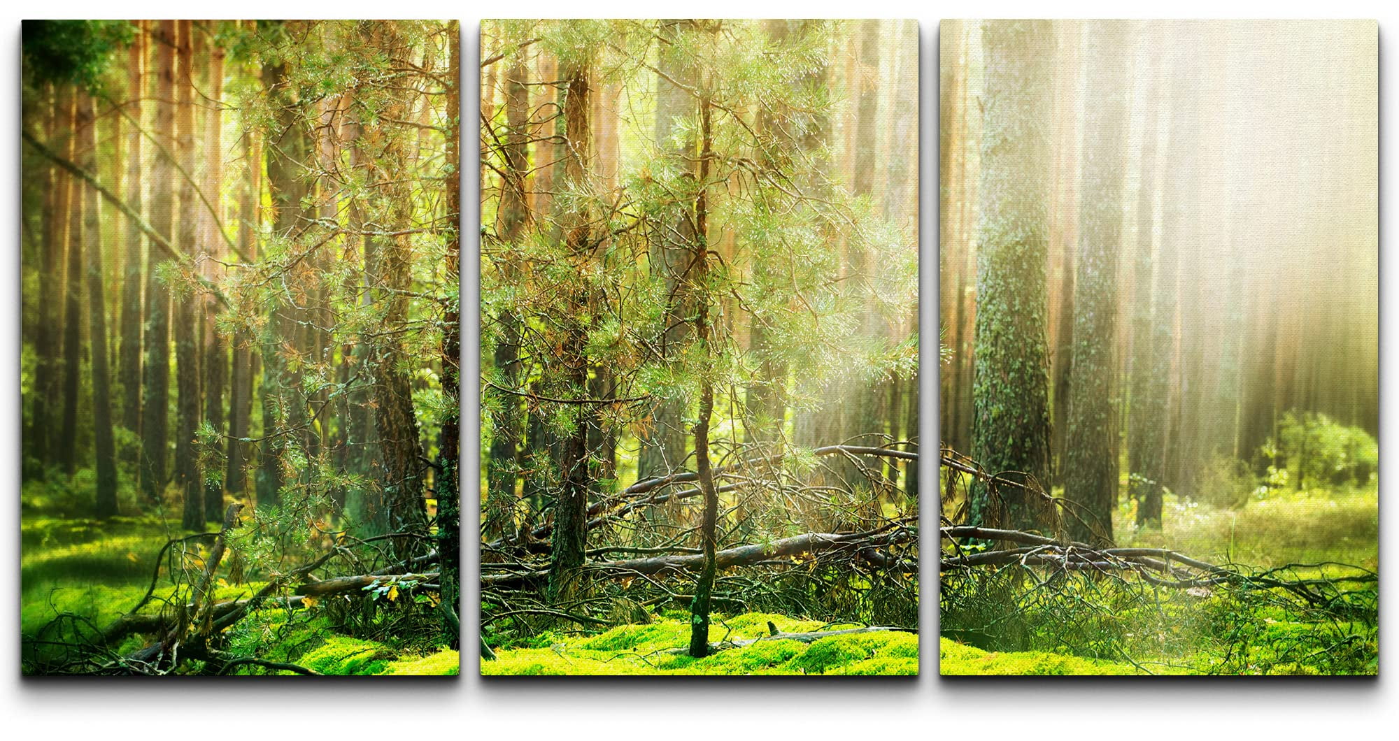 wall26 Canvas Print Wall Art Set Bright Sunlight Through Green Forest ...