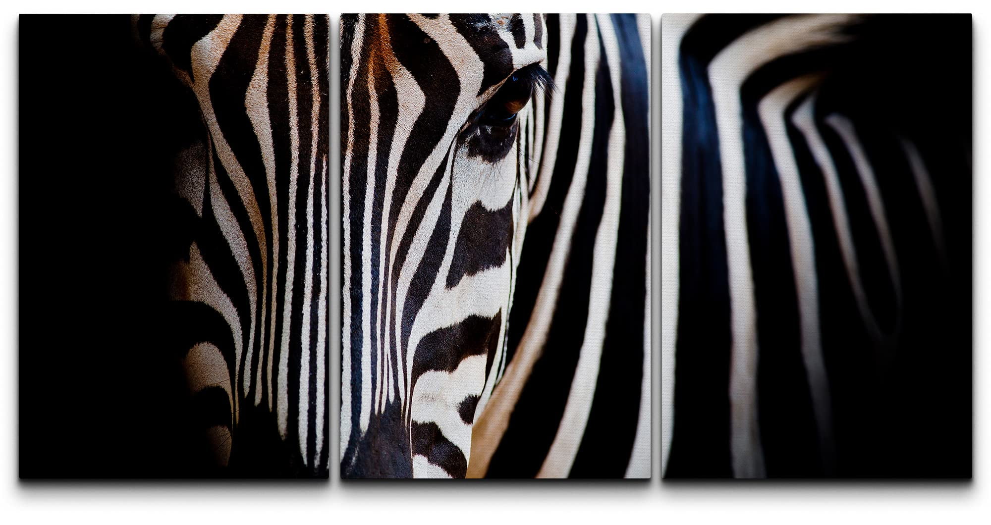 wall26 Canvas Print Wall Art Set Close Up Portrait of African Zebra ...
