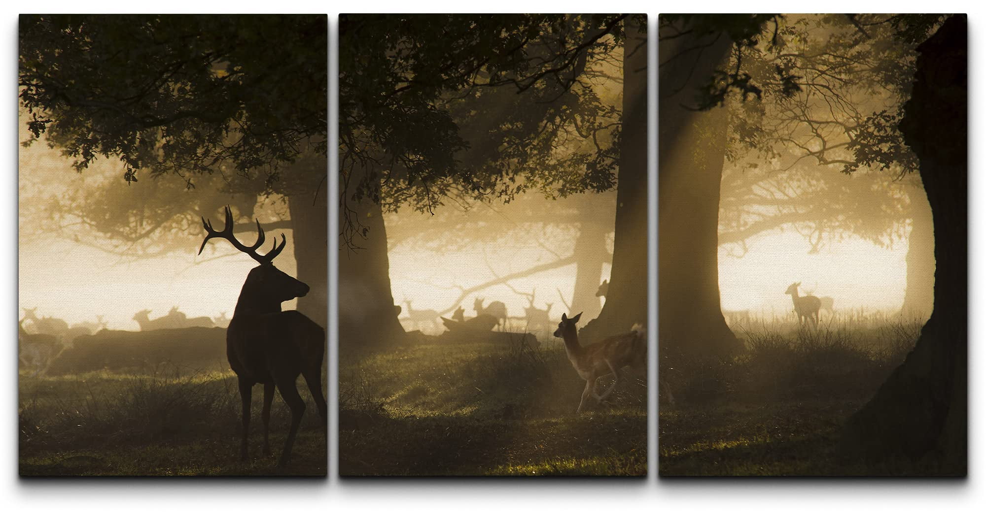 wall26 Canvas Print Wall Art Set Deer Family in The Sunlit Forest ...