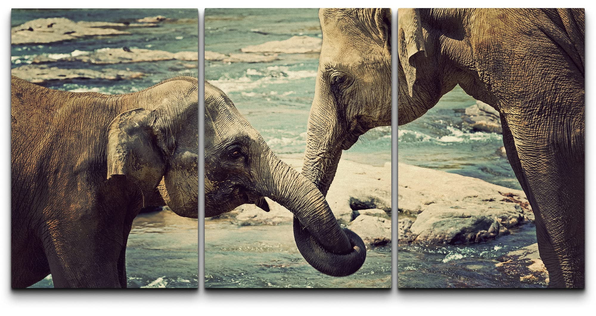 wall26 Canvas Print Wall Art Set Elephants Holding Trunks in Sri Lanka ...