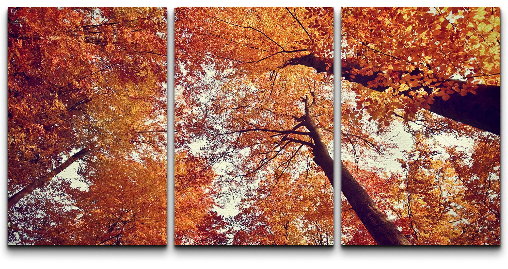 wall26 Canvas Print Wall Art Set Ground View of Red & Orange Fall Trees ...