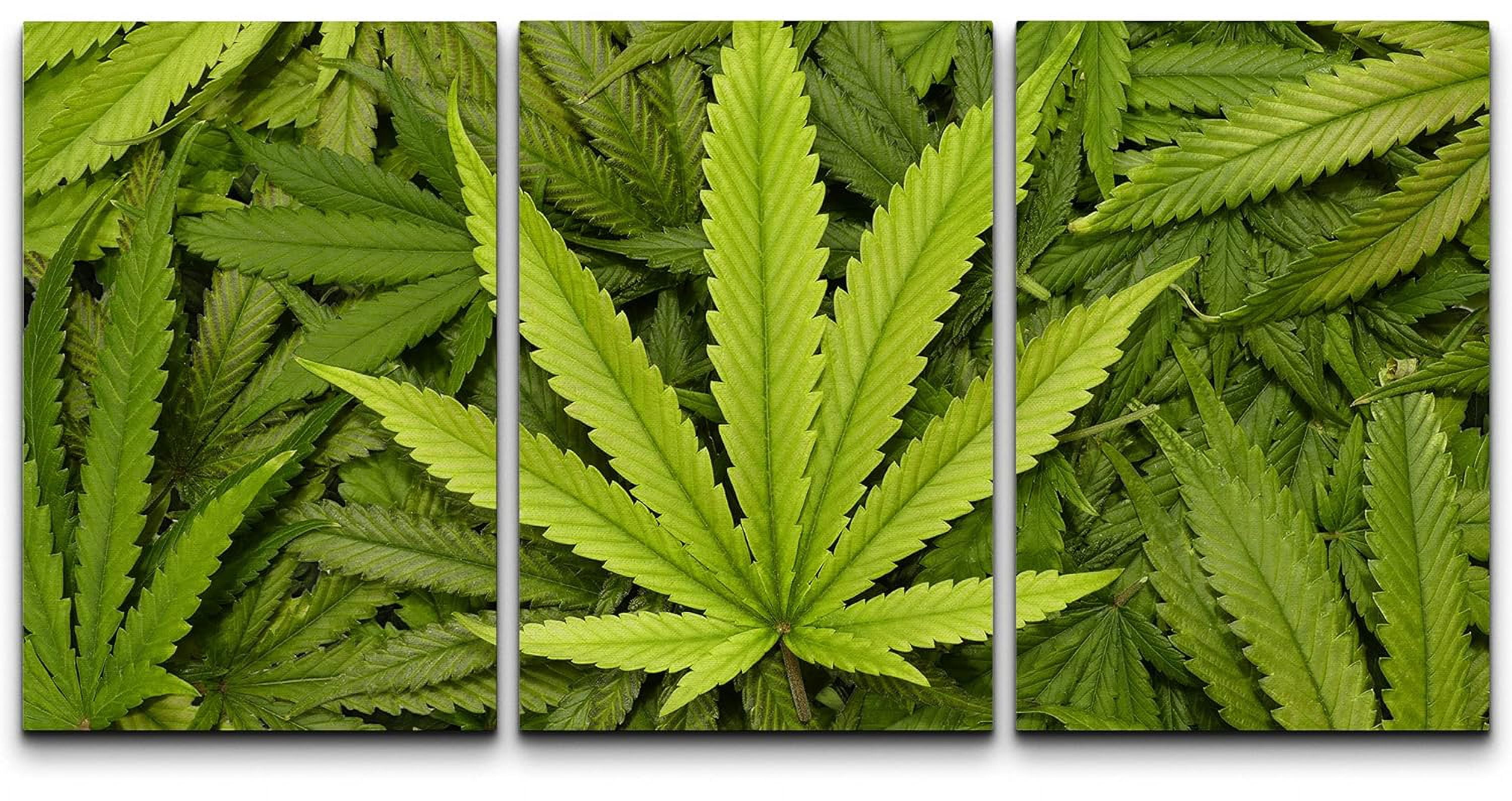 wall26 Canvas Print Wall Art Set Marijuana Cannabis Leaf Collage Nature ...