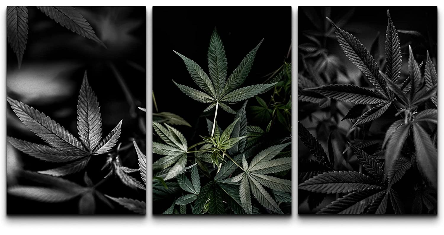 wall26 Canvas Print Wall Art Set Multicolor Marijuana Cannabis CBD ...