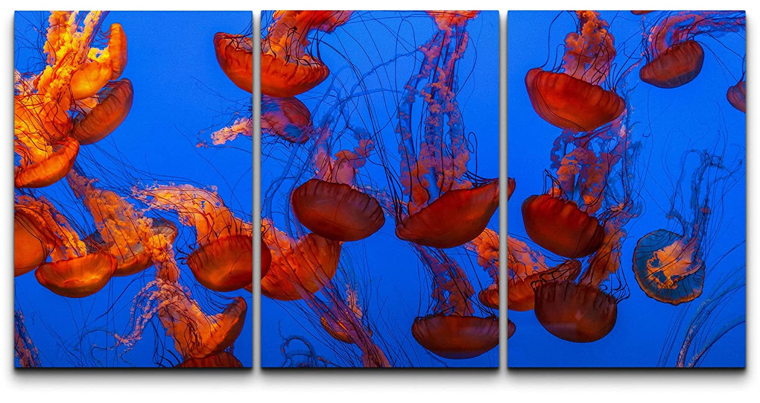 wall26 Canvas Print Wall Art Set Rainbow Coral Reef Turtle Fish ...