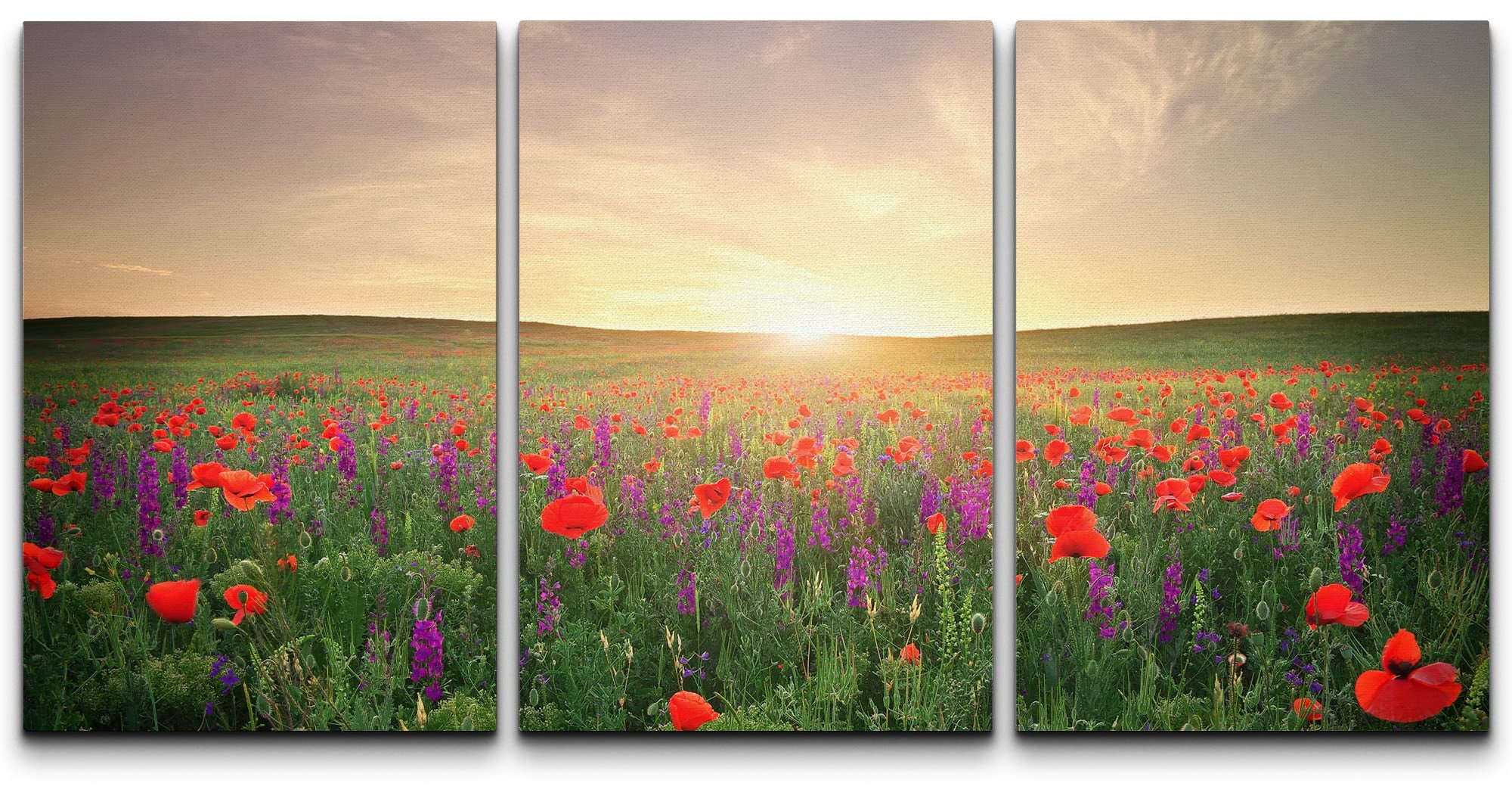wall26 Canvas Print Wall Art Set Sunset Horizon Over Red Poppy Field ...