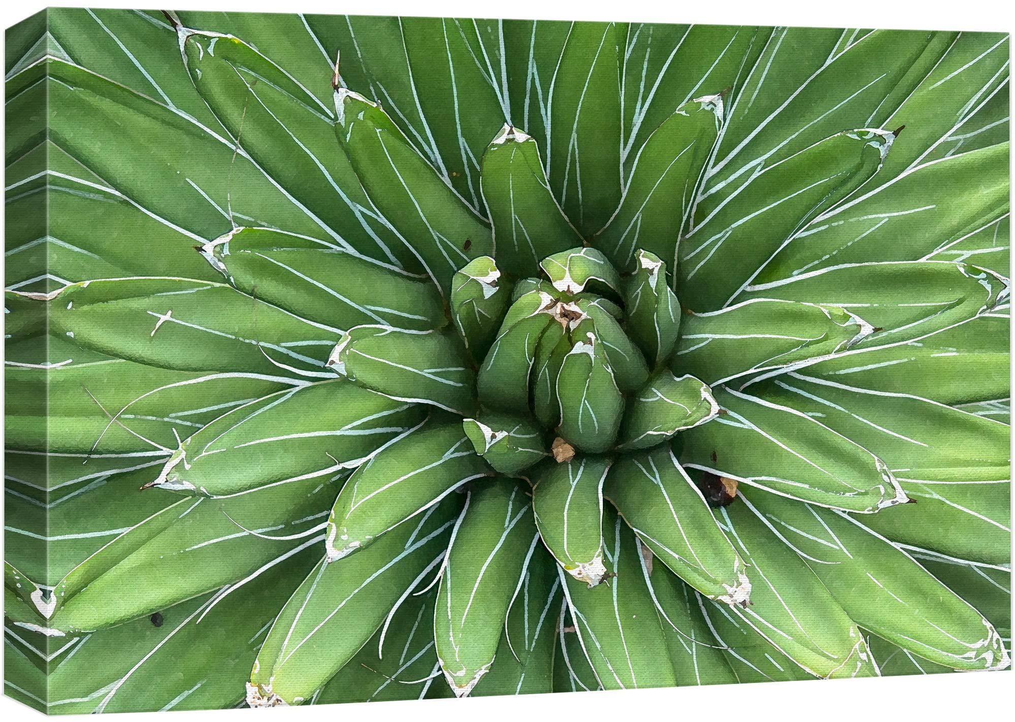 wall26 Canvas Print Wall Art Sharp Green Agave Cactus Close Up Floral ...
