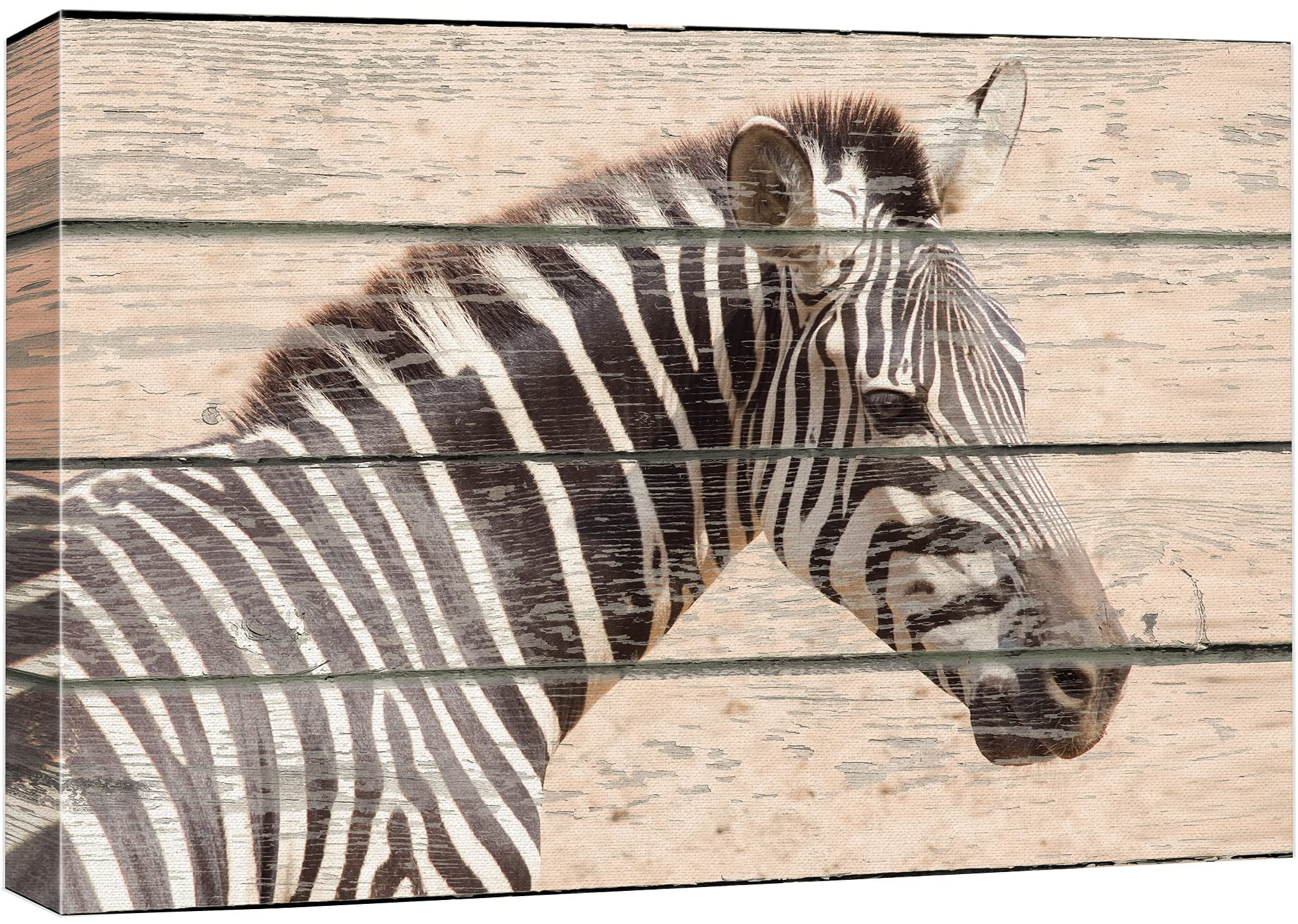 wall26 Canvas Print Wall Art Striped African Zebra Portrait Animals ...