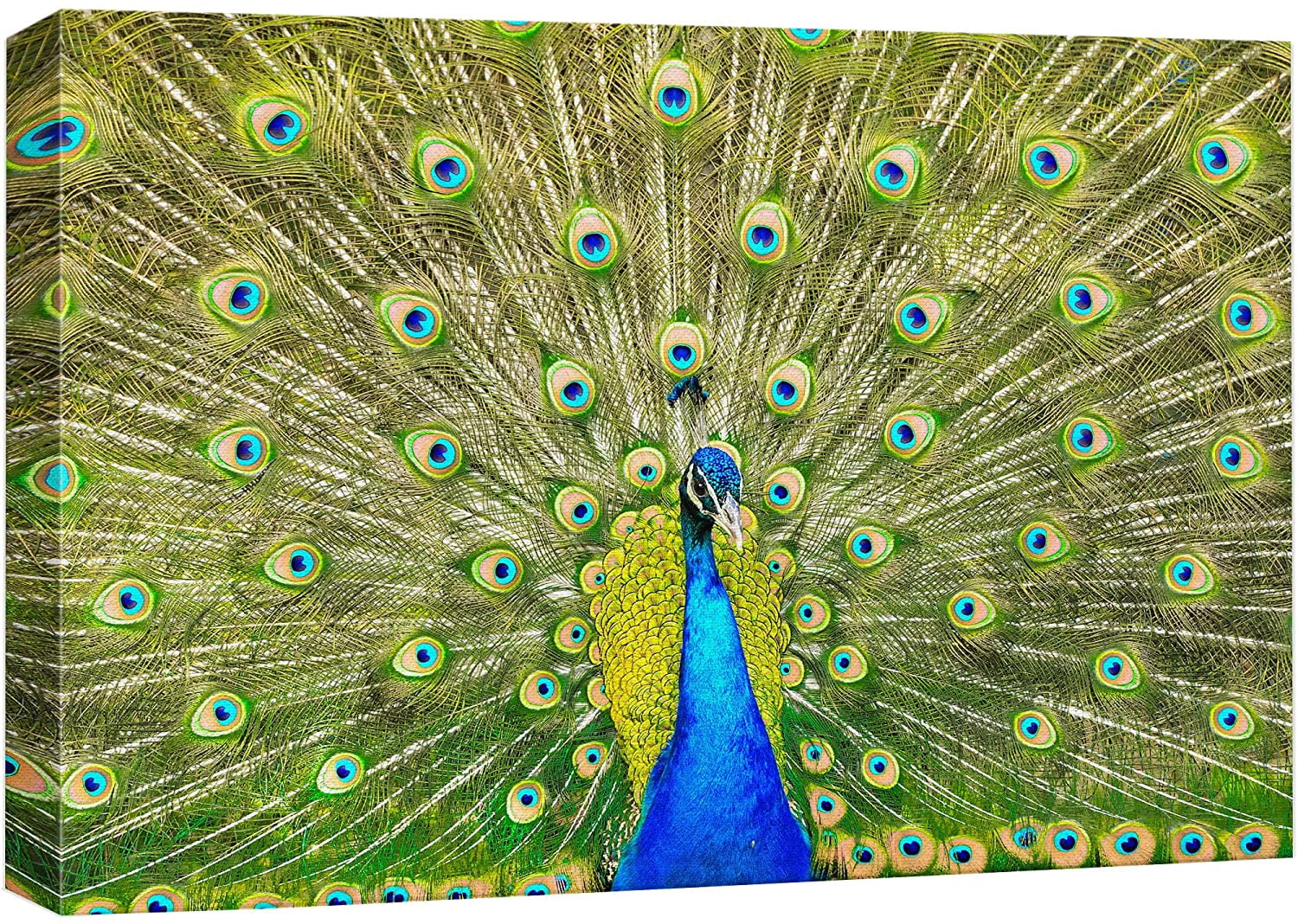 wall26 Canvas Print Wall Art Vibrant Neon Peacock Bird Feather Portrait ...