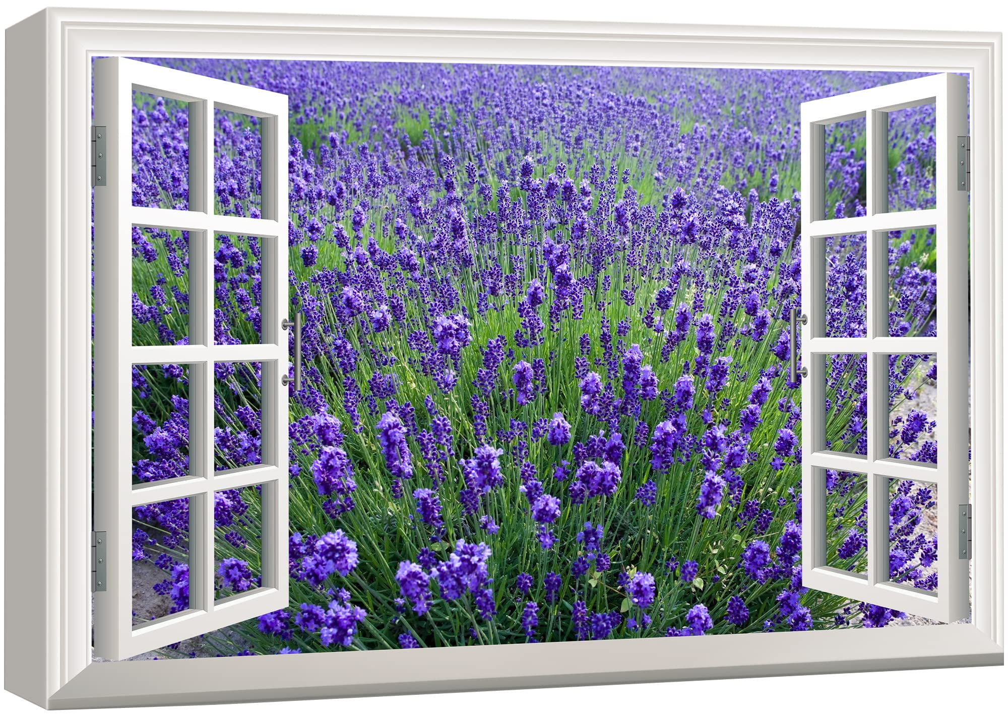 wall26 Canvas Print Wall Art Window View to Field of Lavender Flowers ...