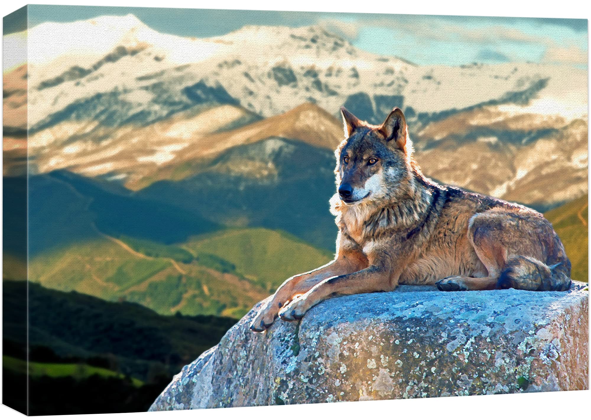 wall26 Canvas Print Wall Art Wolf Sits on Rock Above Mountain Range ...